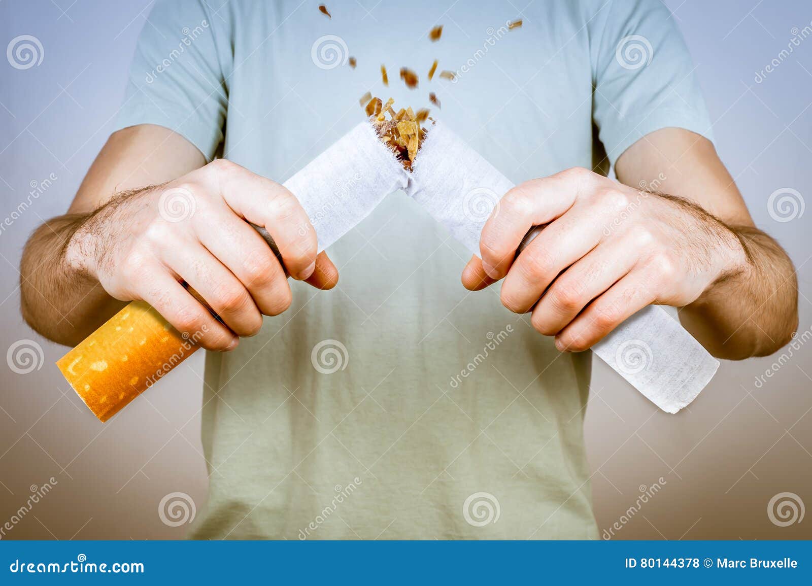 Smoking Red Male Cardinal Stock Image | CartoonDealer.com #135108037