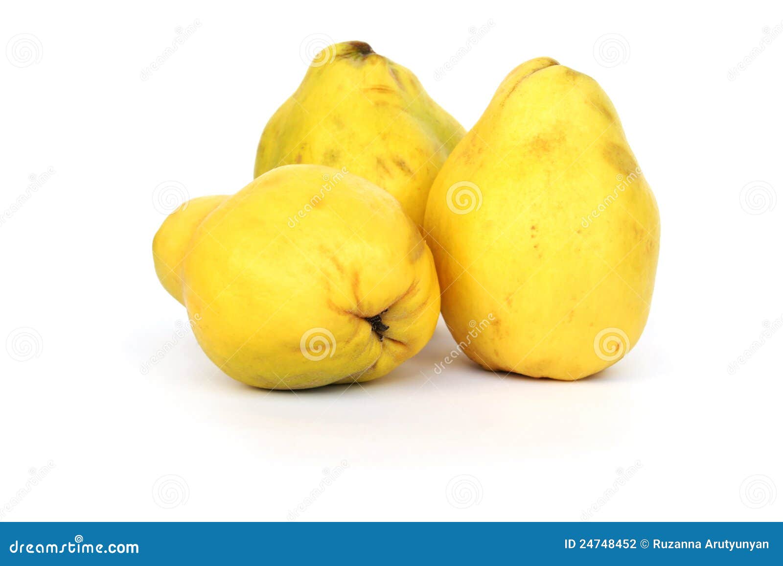 Quitte stockfoto. Bild von horizontal, drei, nahaufnahme - 24748452