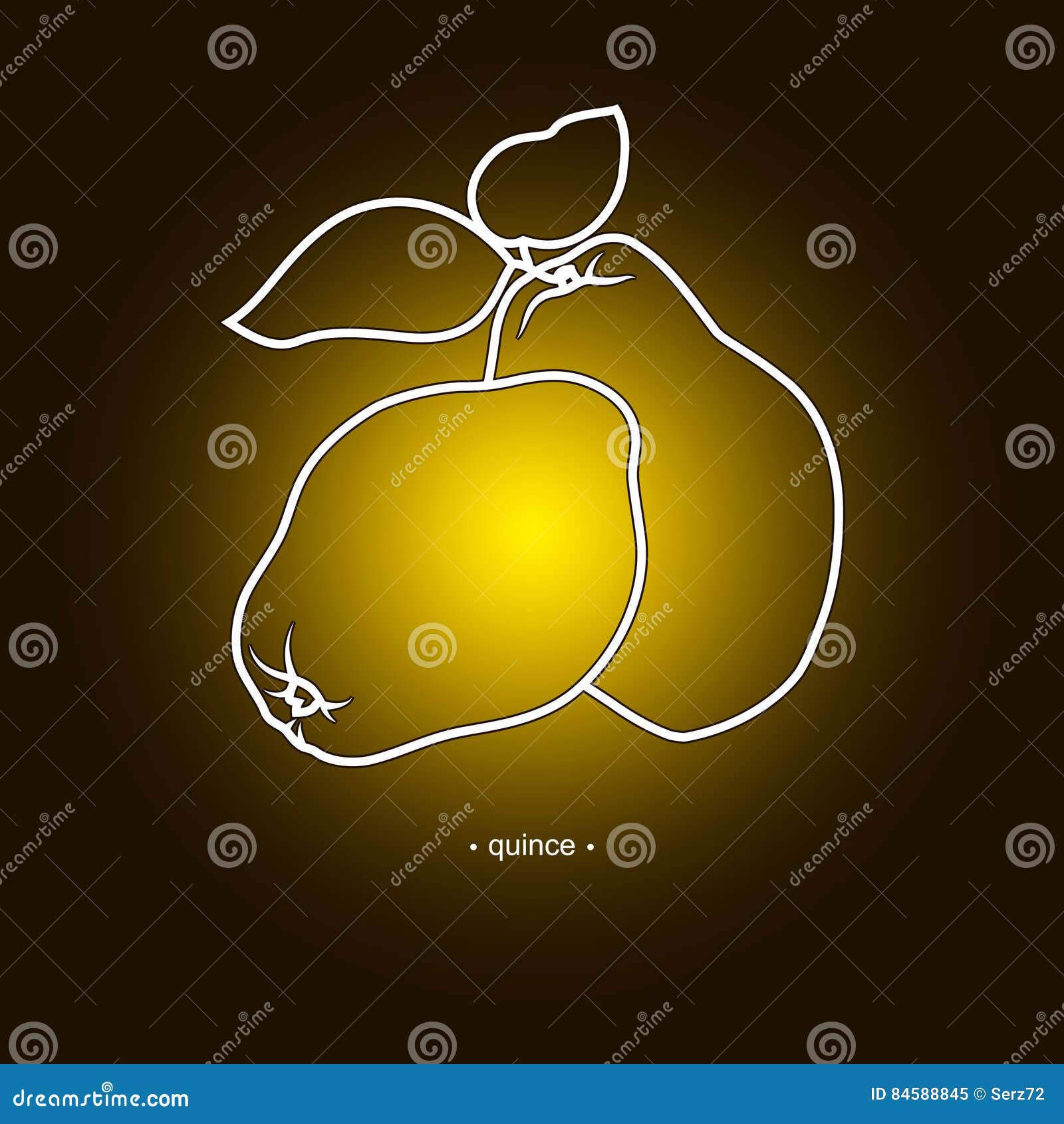 Quitte in den Konturen vektor abbildung. Illustration von ...