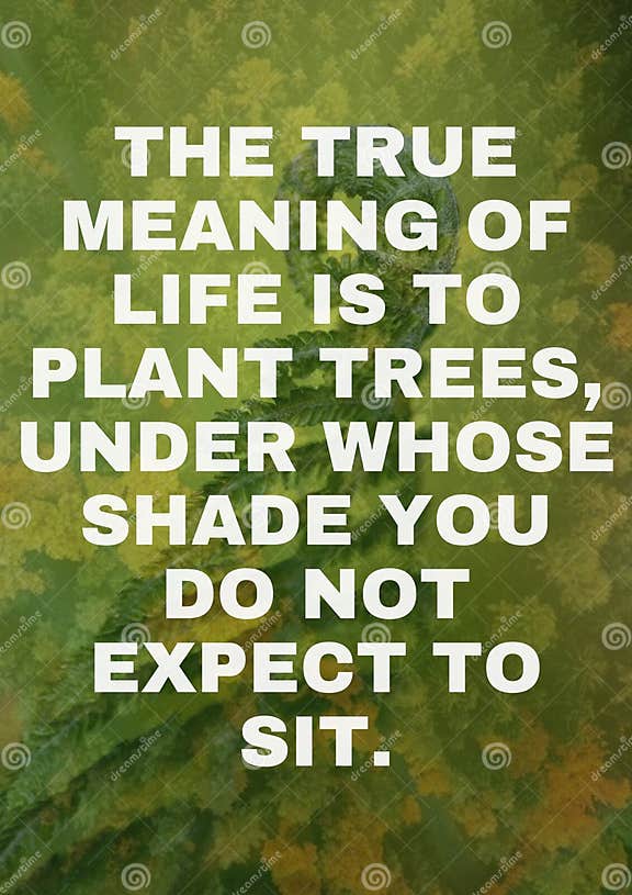 Quote The True Meaning Of Life Is To Plant Trees Under Whose Shade You