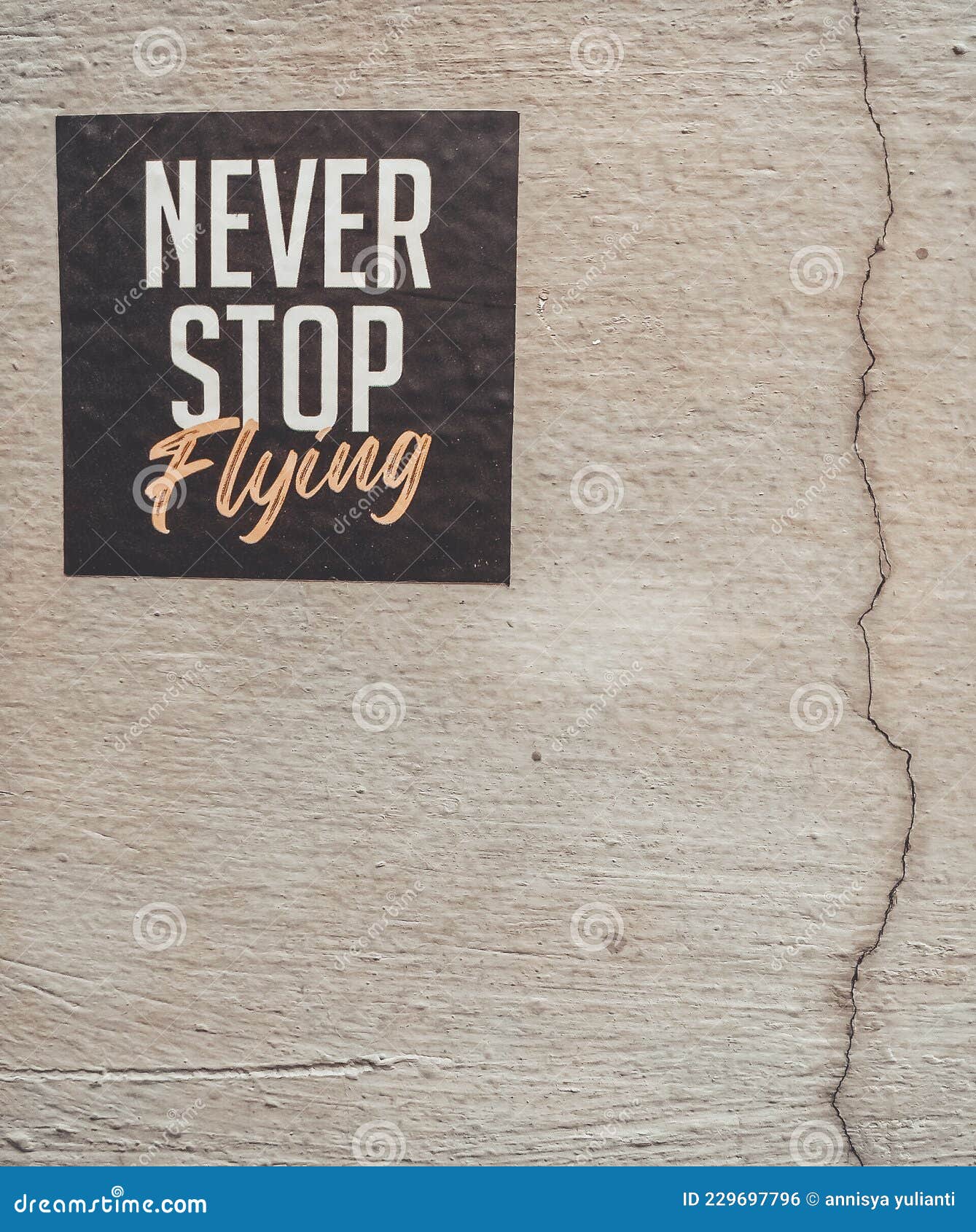 Quotes of the Day Never Stop Flying Stock Photo - Image of stop, quotes ...