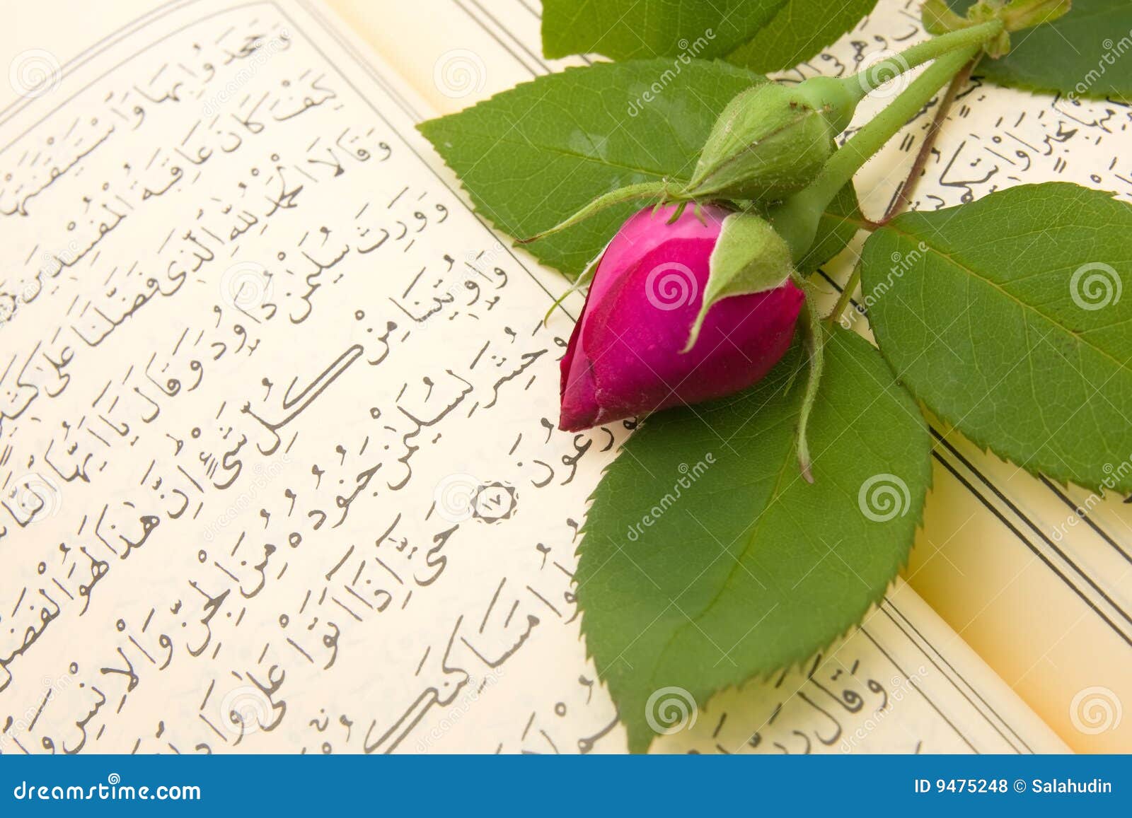 Quran stock photo. Image of page, islam, quran, roses - 9475248
