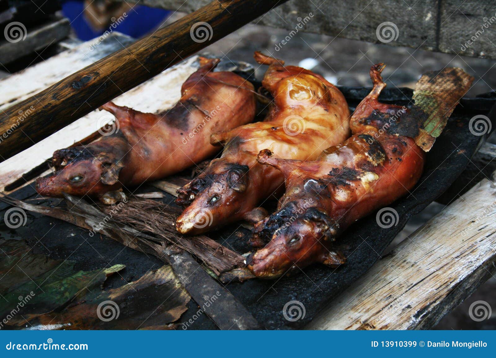 The quy stock image. Image of peru, nice, america, little - 13910399