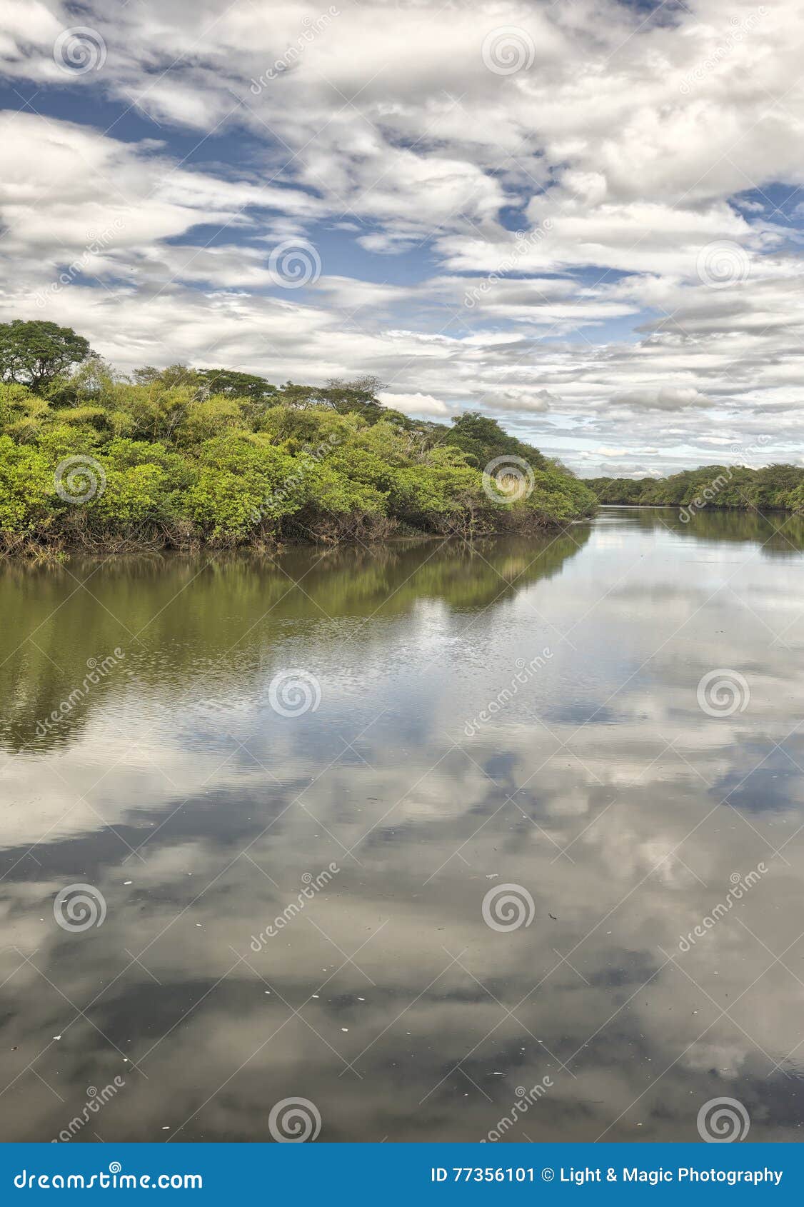 Río De Tempisque, Costa Rica Imagen de archivo - Imagen de verde ...