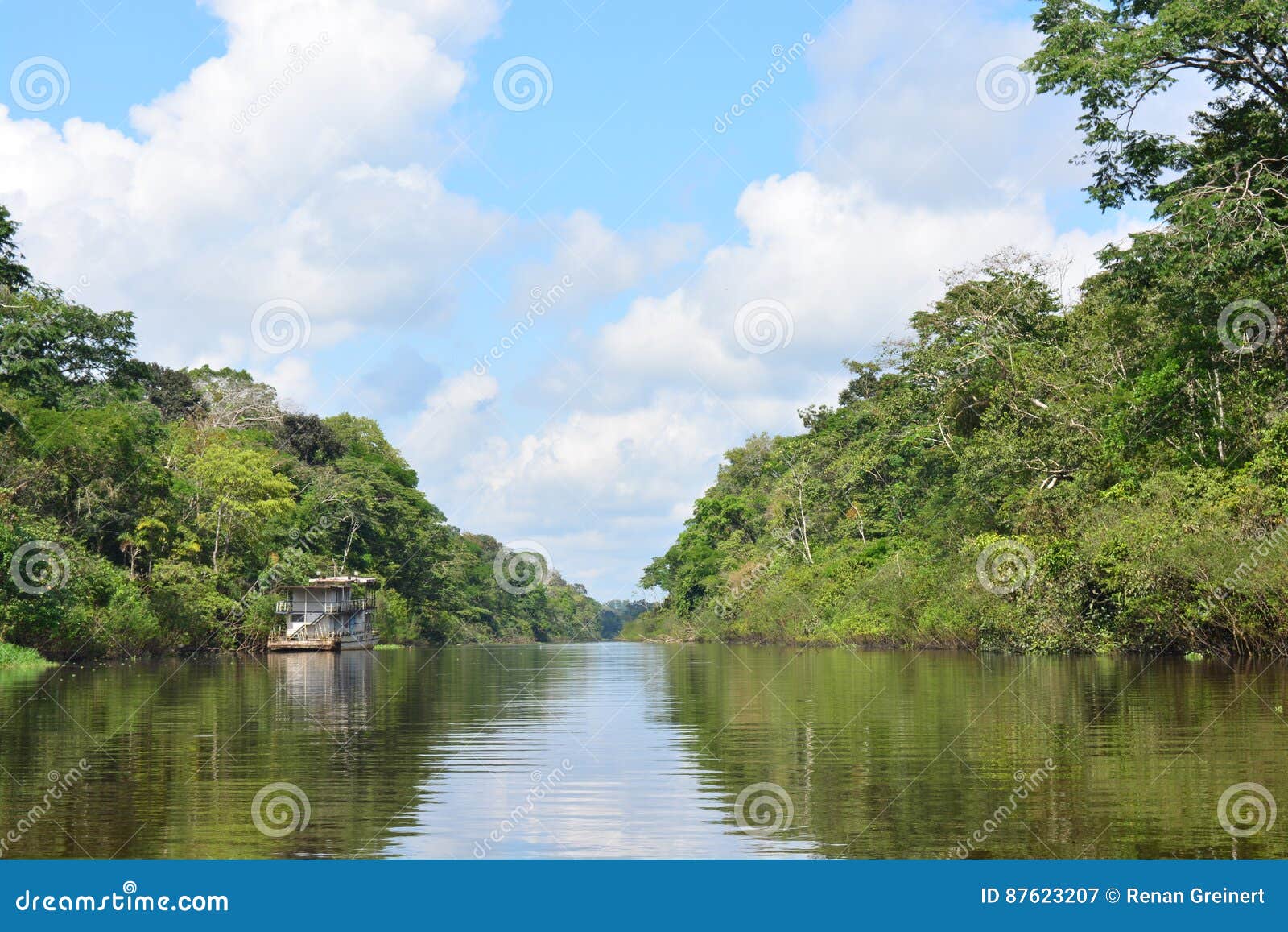 Río En La Selva Del Amazonas, Perú Imagen de archivo - Imagen de ...