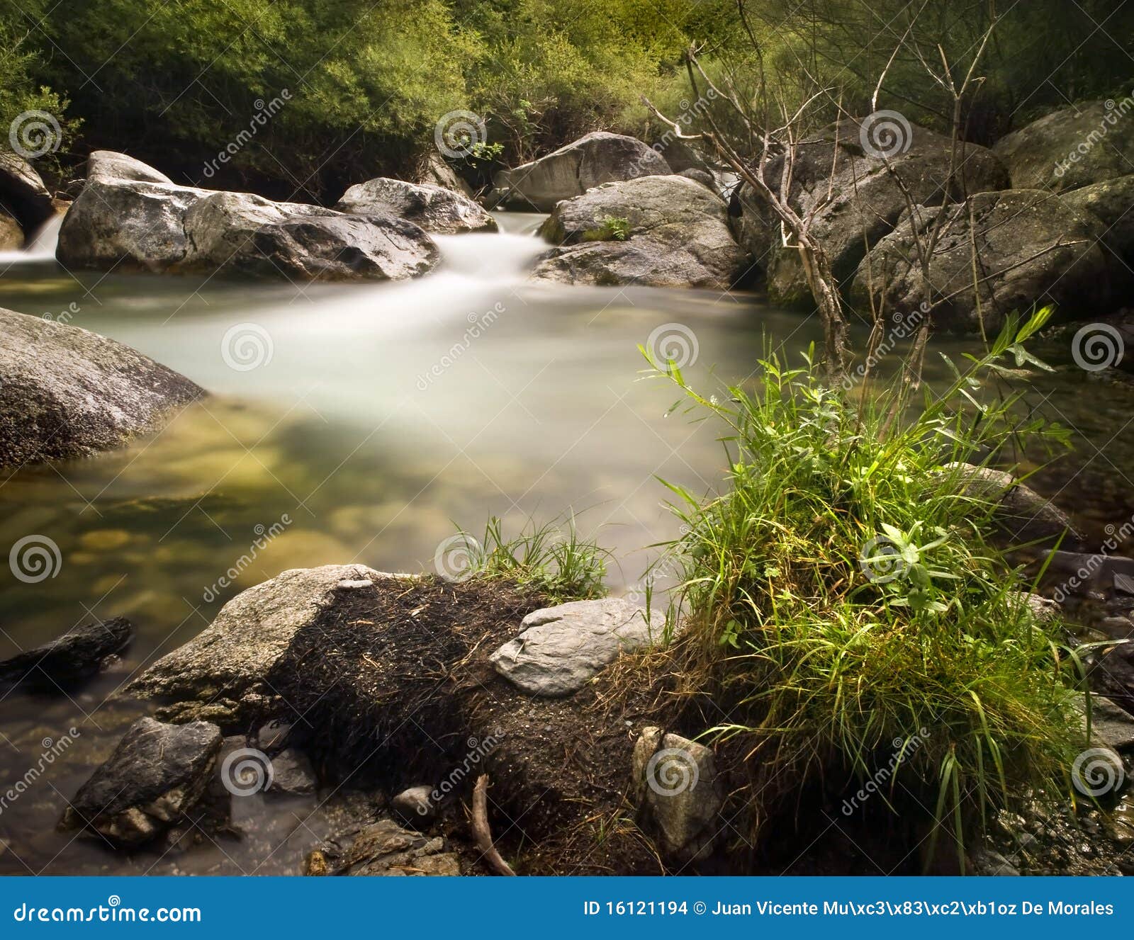 Río encantado foto de archivo. Imagen de bosque, paisaje - 16121194