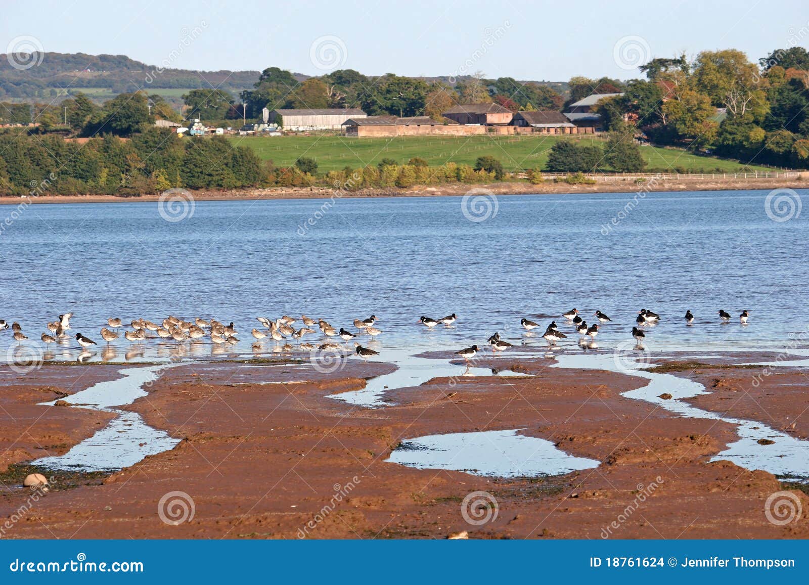 Río Exe foto de archivo. Imagen de vela, colector, agua - 18761624