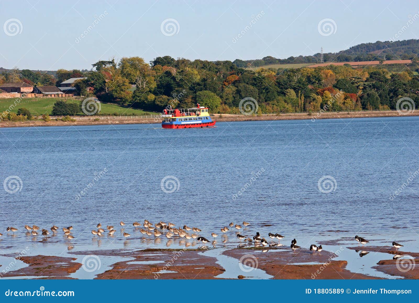 Río Exe imagen de archivo. Imagen de placer, barco, transporte - 18805889