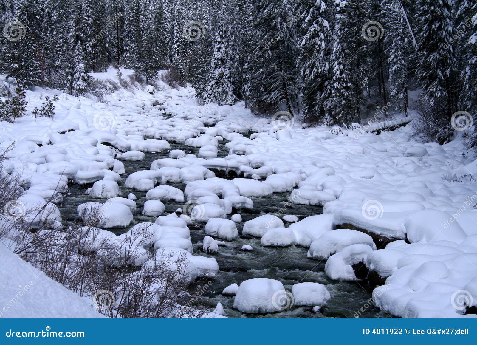 Río Nevado foto de archivo. Imagen de recursos, cubierto - 4011922