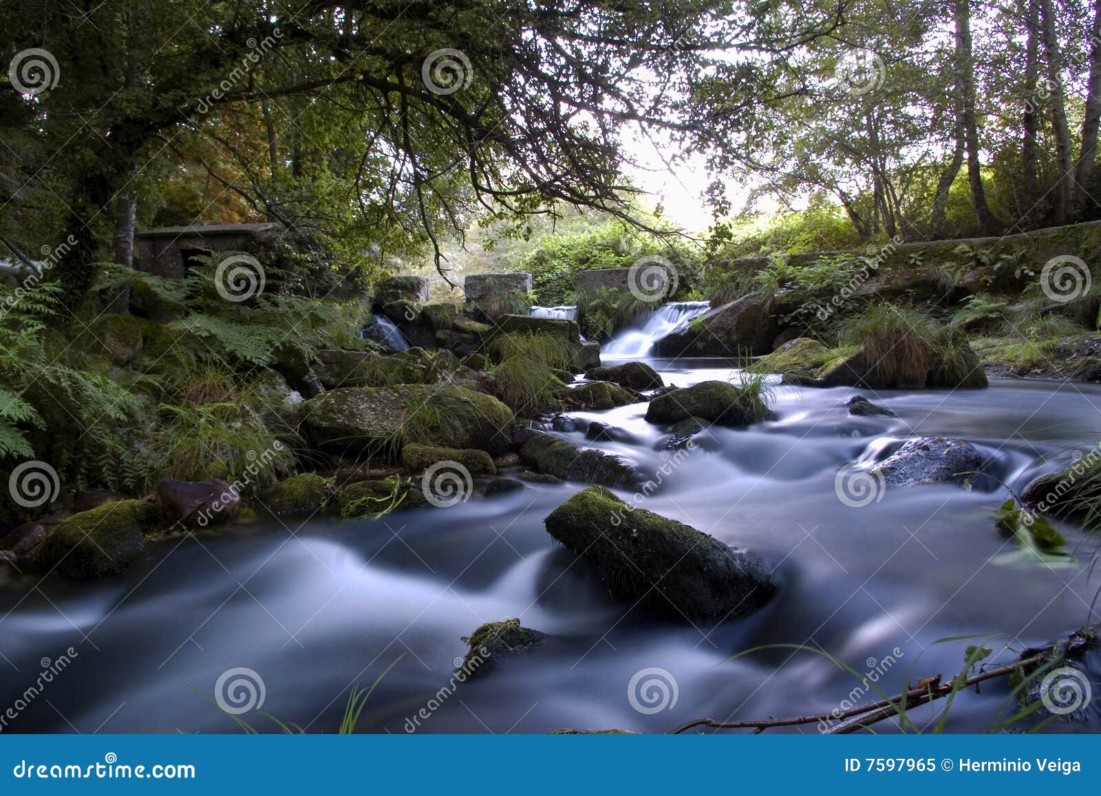 Río sedoso imagen de archivo. Imagen de agua, verde, sombra - 7597965