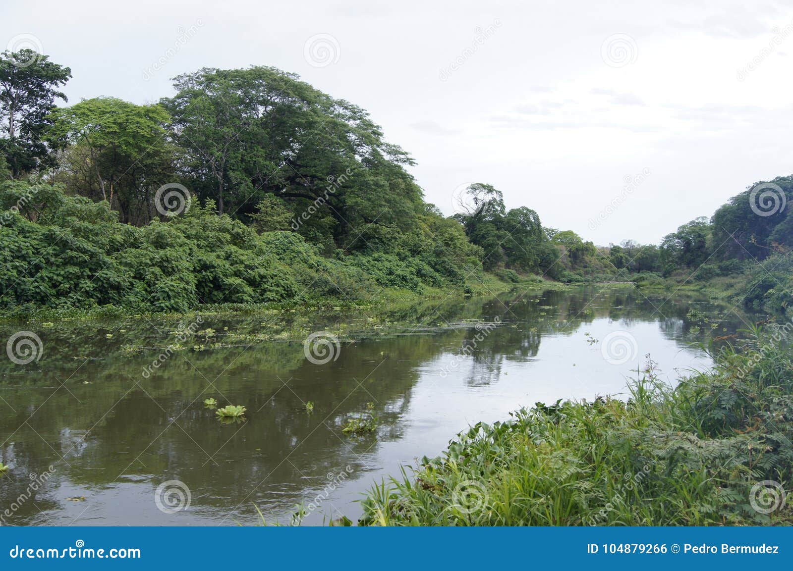 Río Tempisque tropical foto de archivo. Imagen de tropical - 104879266