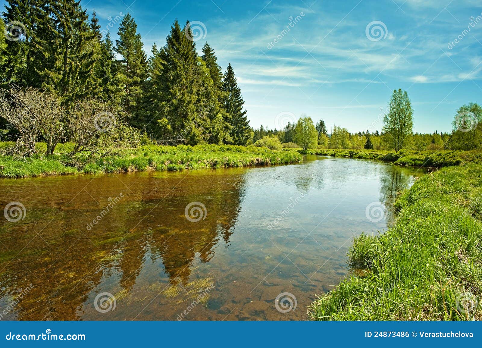 Río y bosque foto de archivo. Imagen de verde, bosque - 24873486