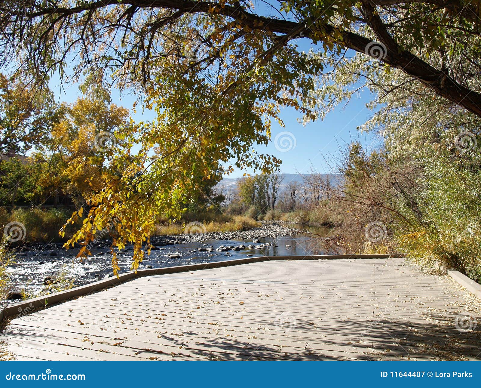 Río y campo imagen de archivo. Imagen de escénico, parque - 11644407