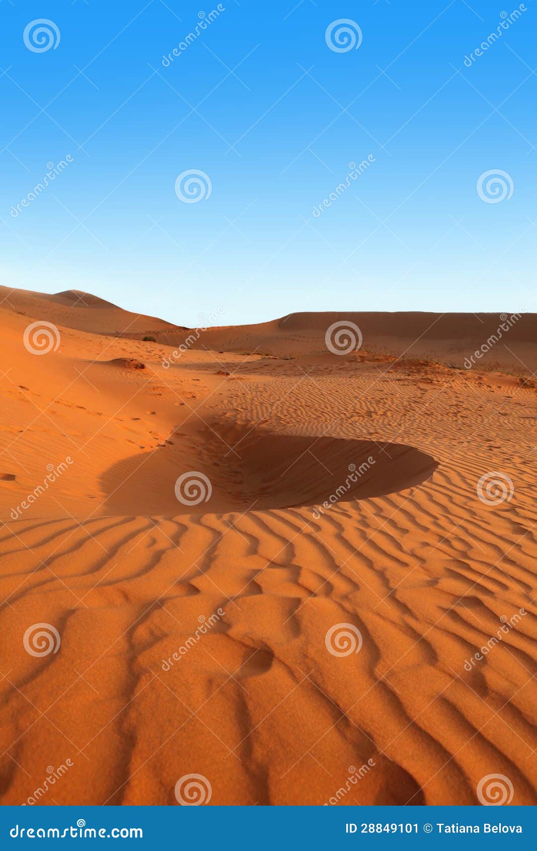 Röda Sanddyner Vietnam fotografering för bildbyråer. Bild av öken ...