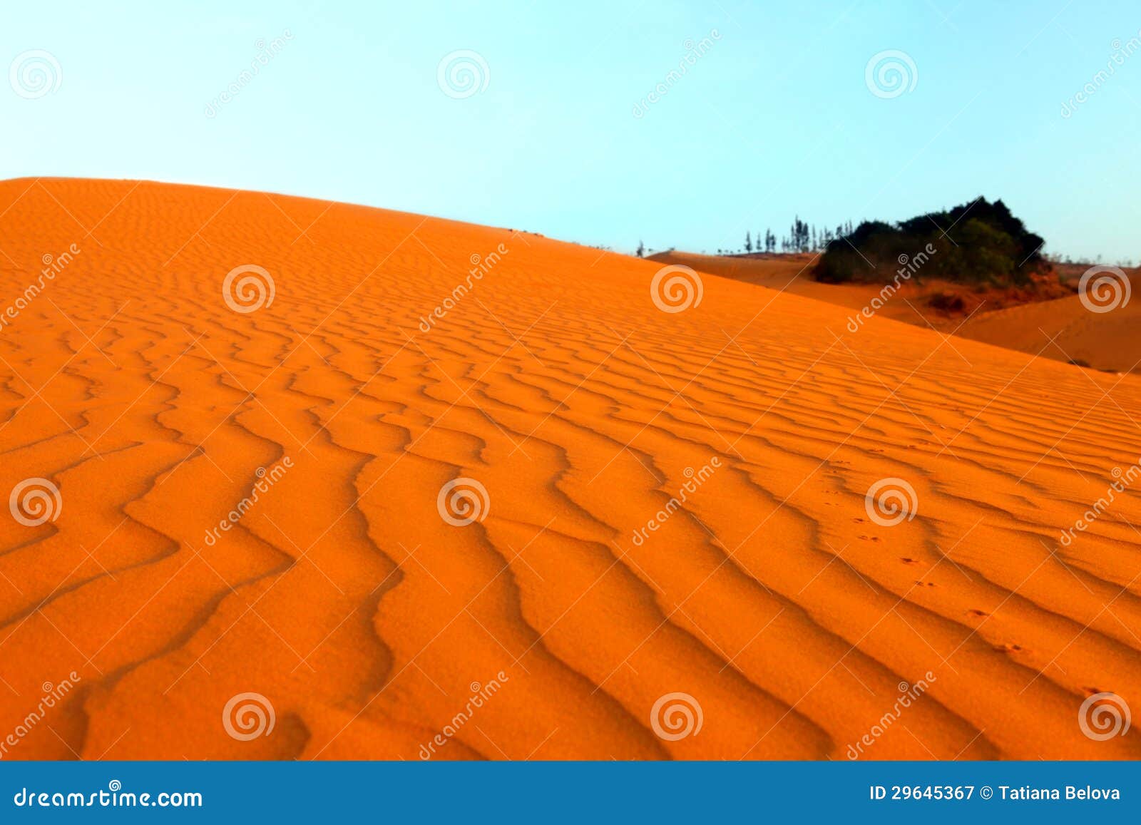 Röda Sanddyner. Vietnam fotografering för bildbyråer. Bild av afrikansk ...