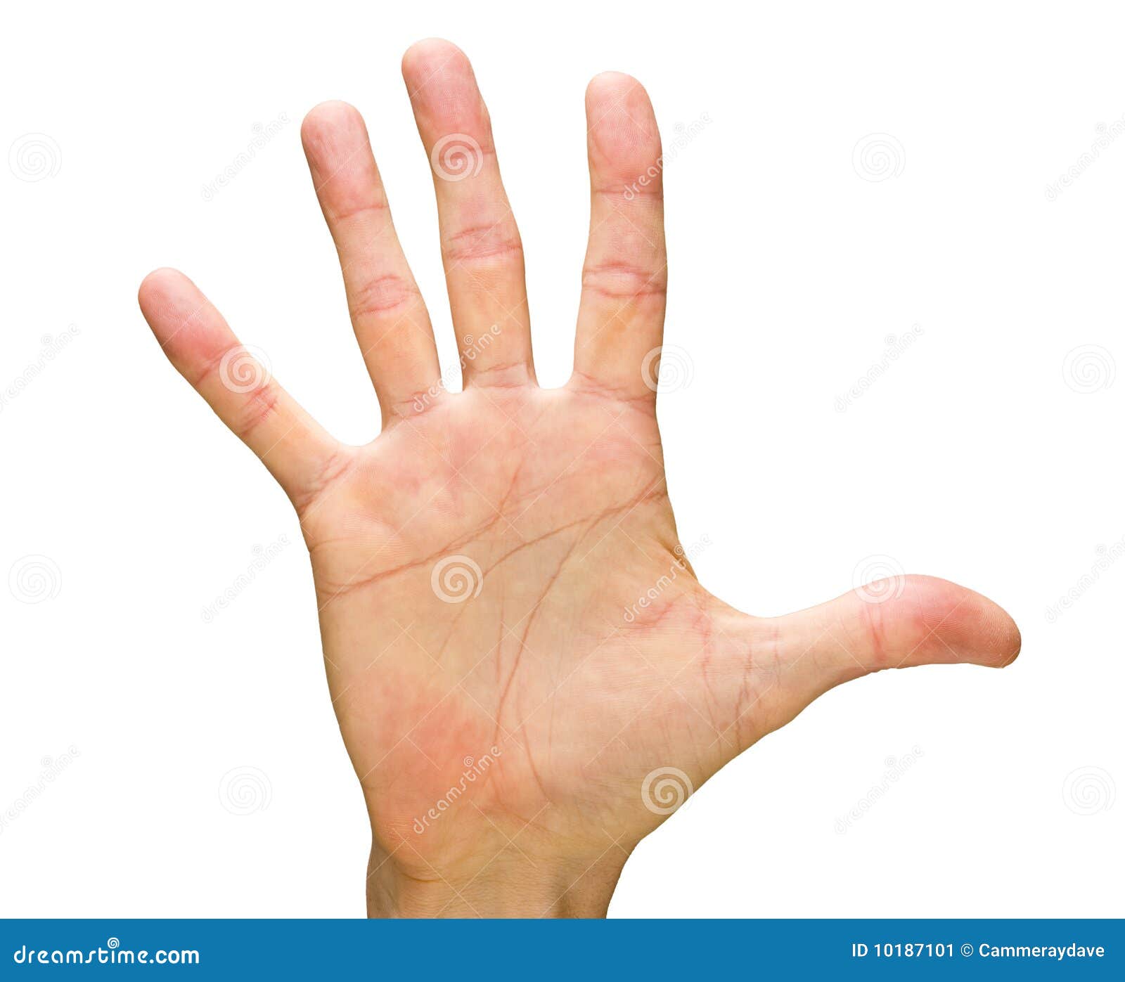 Ręka obraz stock. Obraz złożonej z ręka, palma, symbol - 10187101
