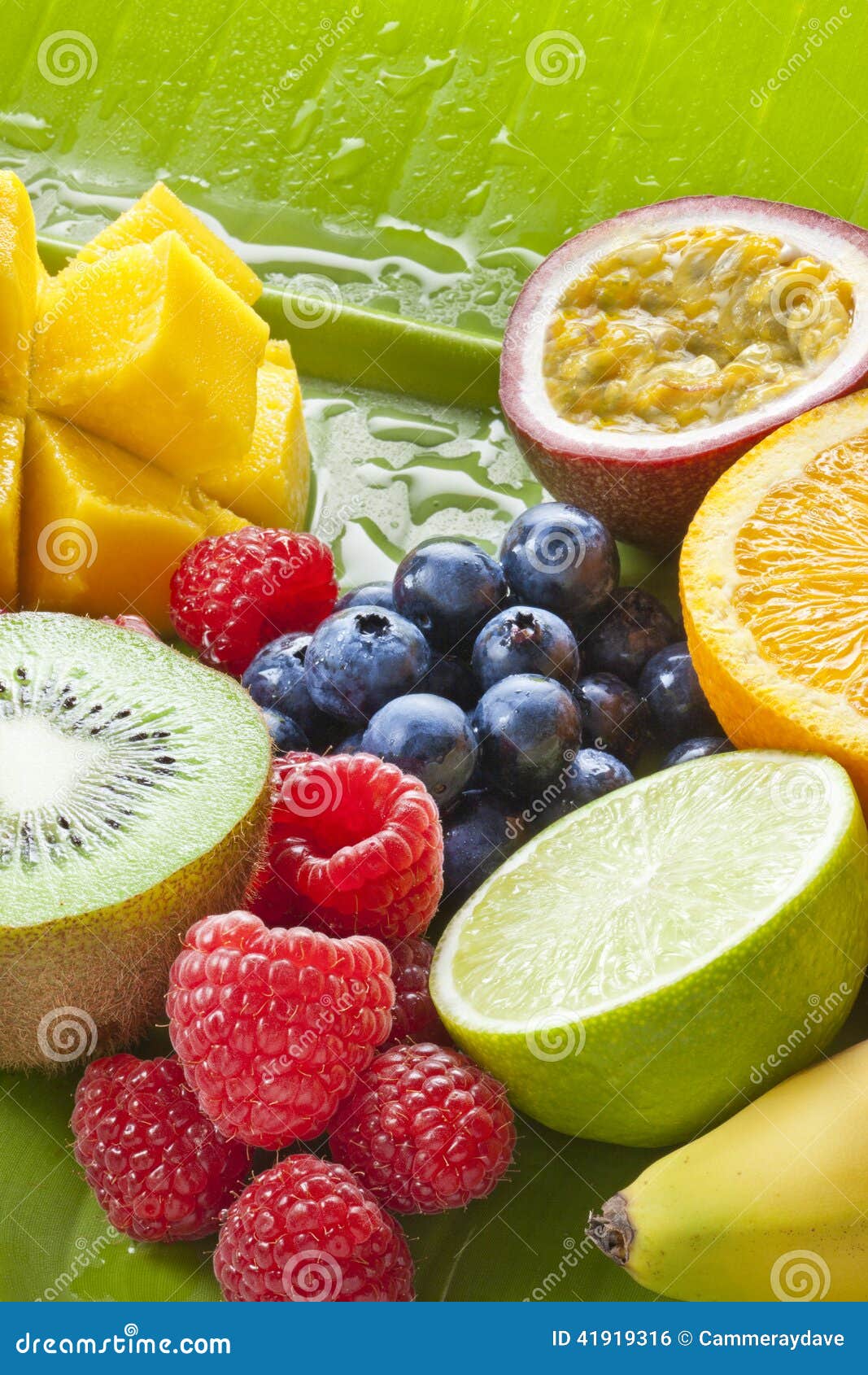 Fresh Cut Fruit zdjęcie stock. Obraz złożonej z kiwi - 41919316