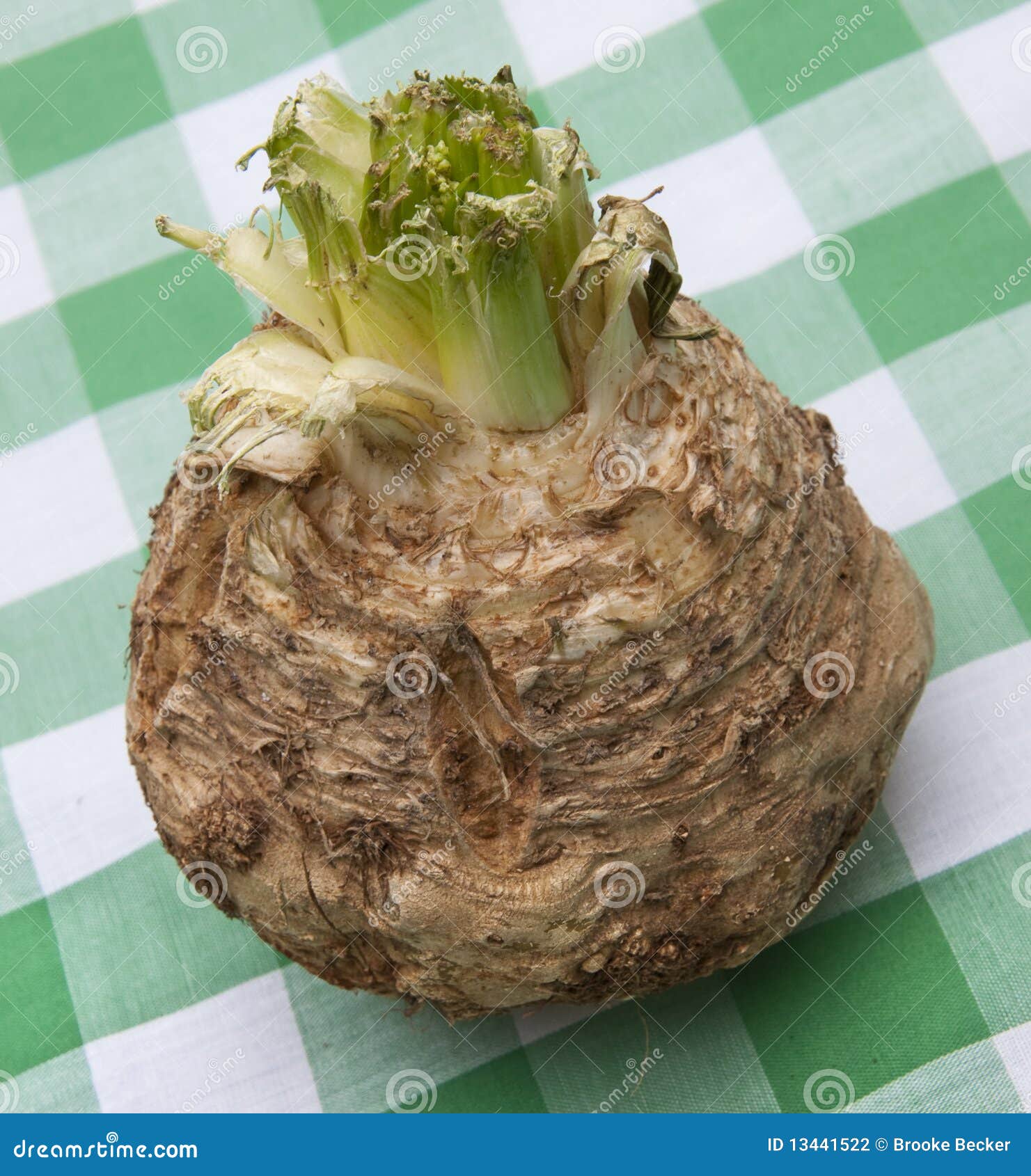 Raíz de apio foto de archivo. Imagen de alimento, sano - 13441522