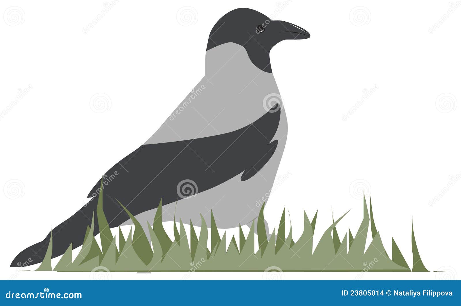 Raaf vector illustratie. Illustration of tekening, beeldverhaal - 23805014