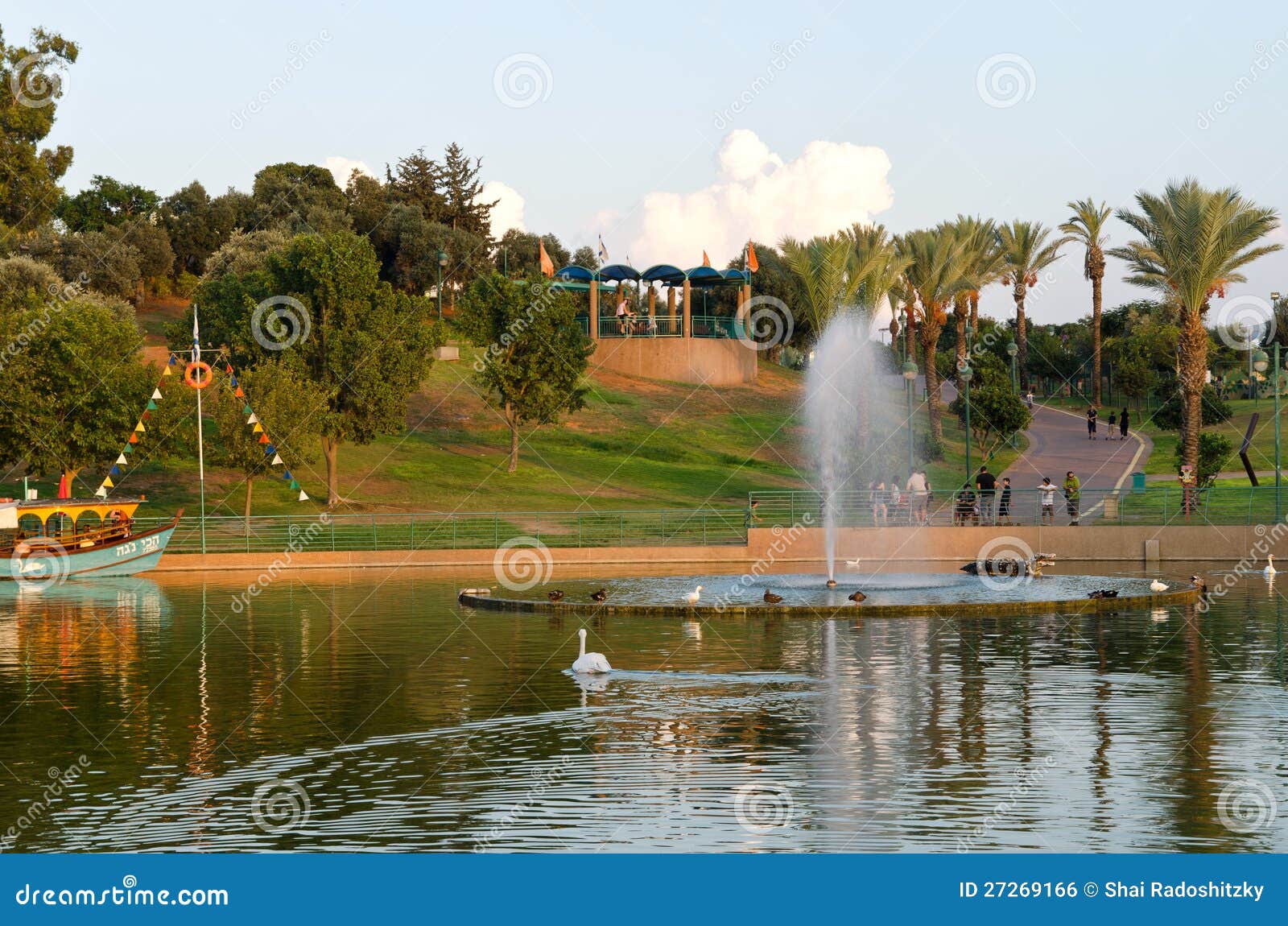 Raanana Park Trees and Lake Editorial Photo - Image of swan, duck: 27269166