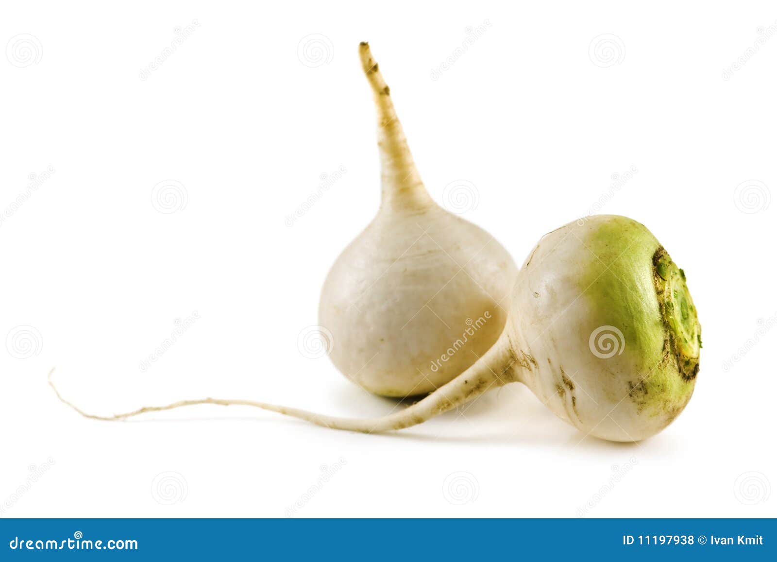 Raap stock foto. Image of geïsoleerd, gezond, sectie - 11197938