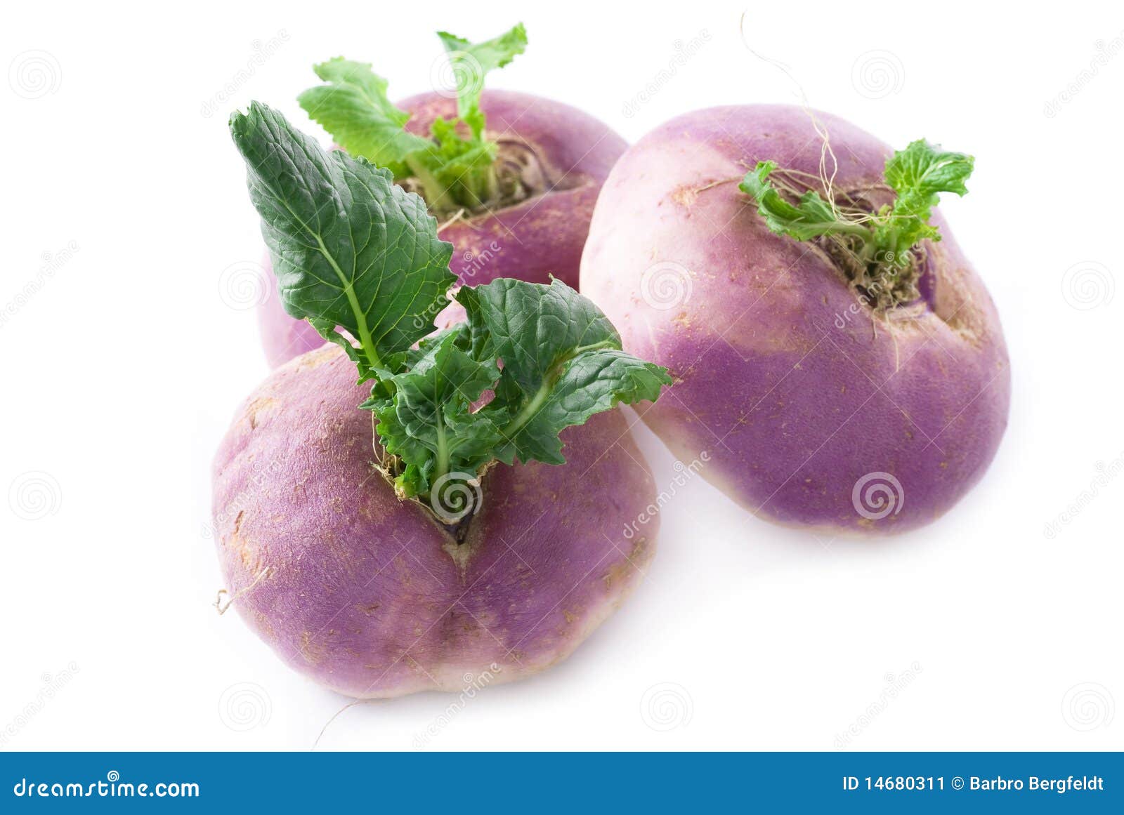 Raap stock afbeelding. Image of rapen, vegetariër, groep - 14680311