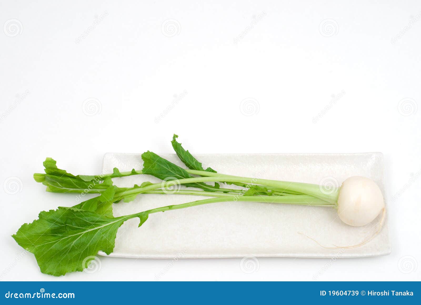 Raap stock afbeelding. Image of plaat, kleur, salade - 19604739