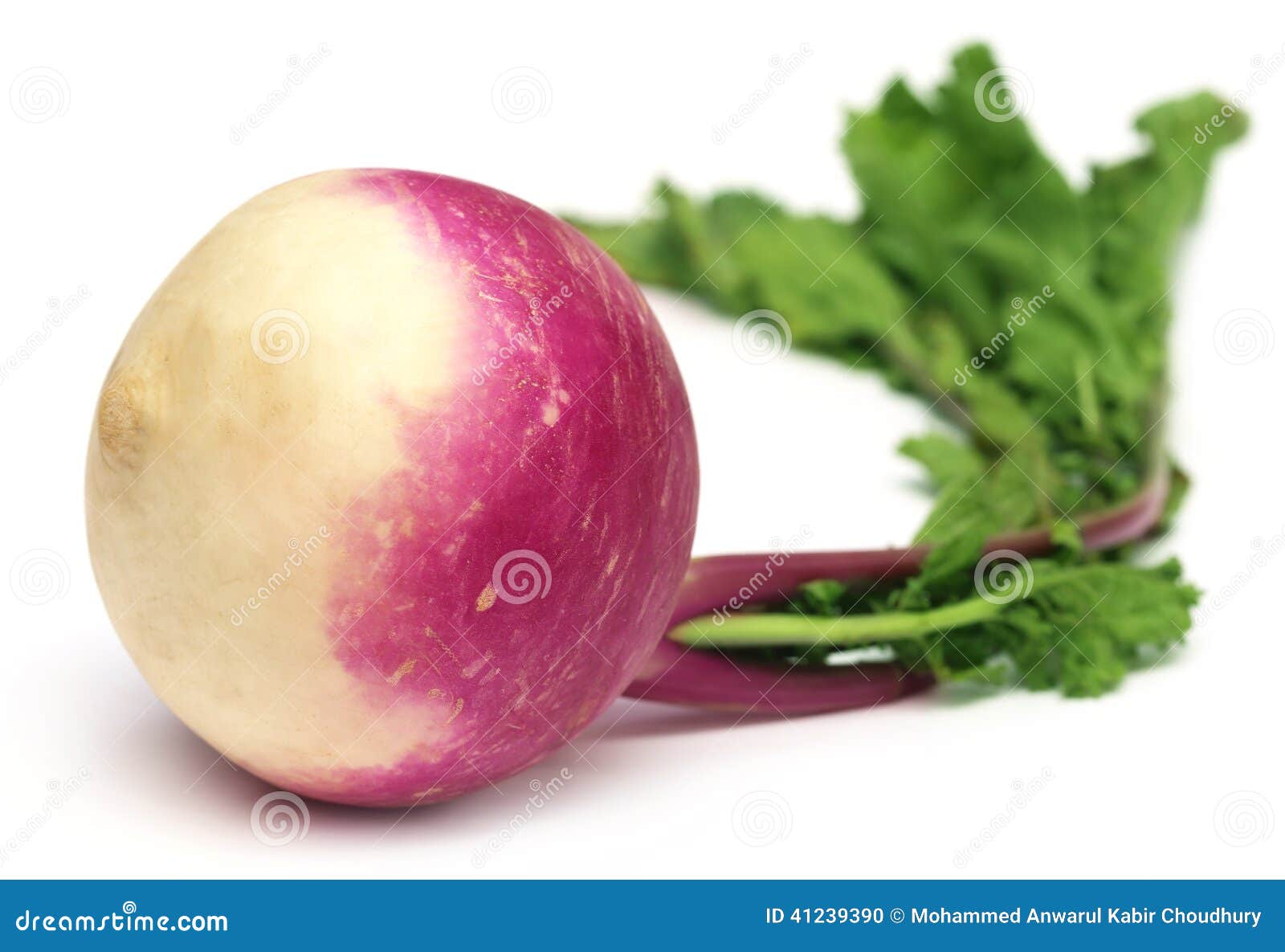 Raap stock foto. Image of organisch, installatie, sluit - 41239390