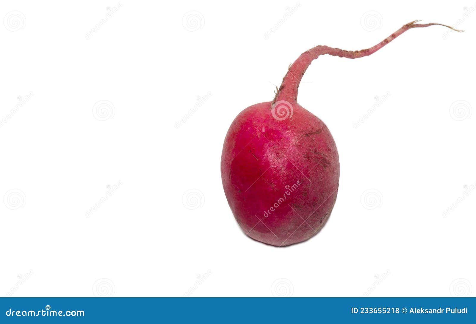 Rabanete Com Fundo Branco. Colheita De Uma Parcela Pessoal Foto de ...