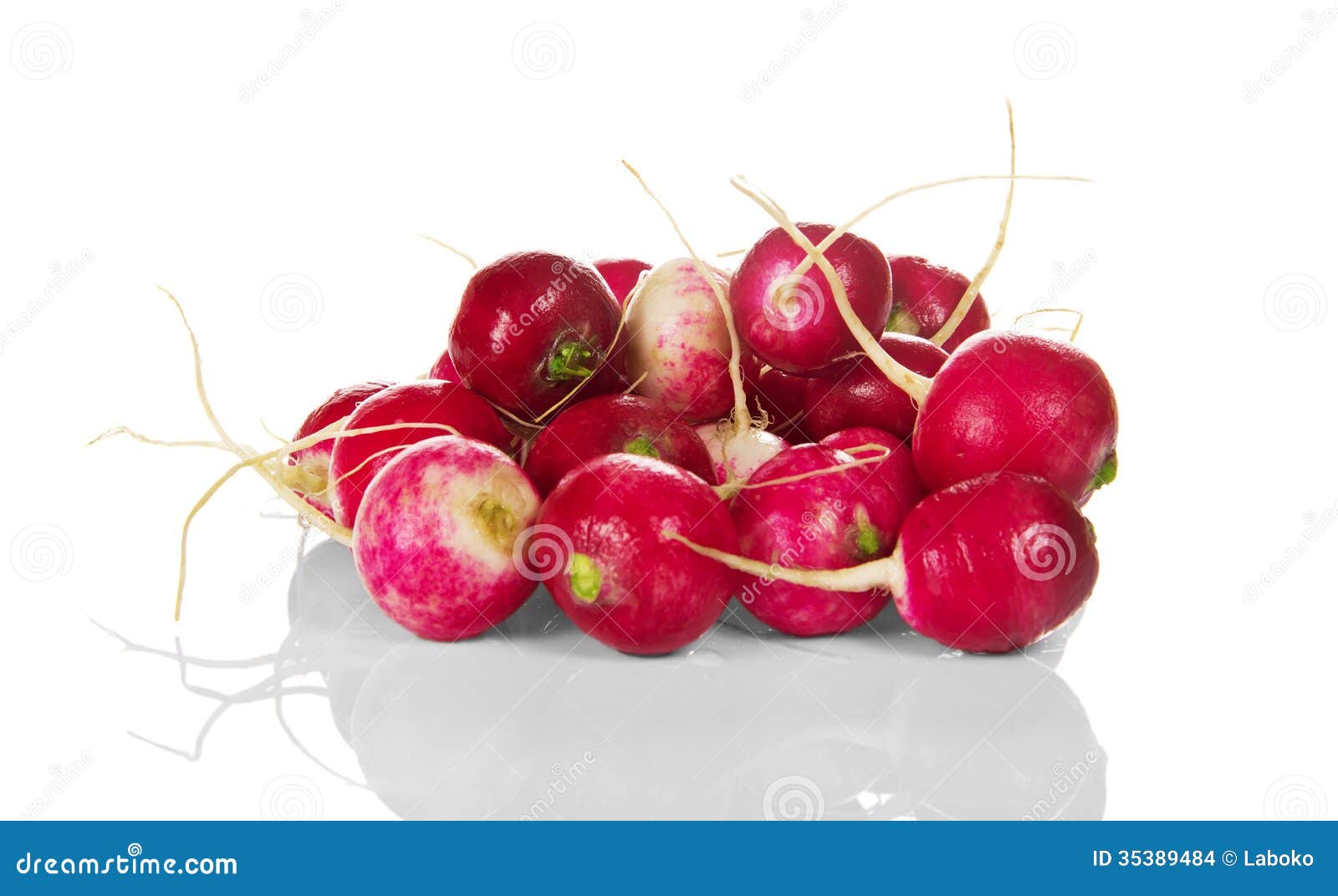 Rabanete Cor-de-rosa Fresco Foto de Stock - Imagem de ingrediente ...