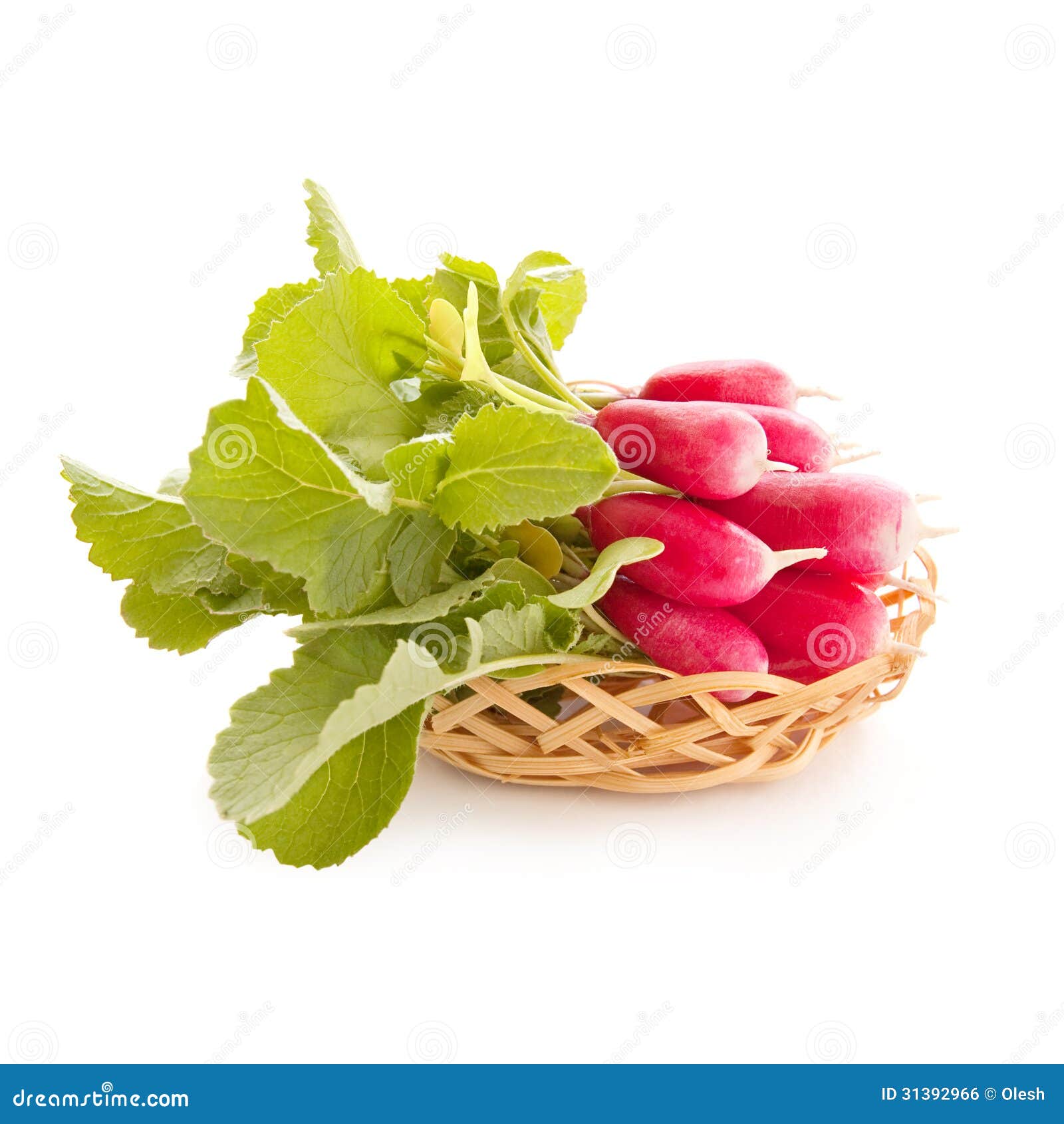 Rabanete do jardim foto de stock. Imagem de tubérculo - 31392966