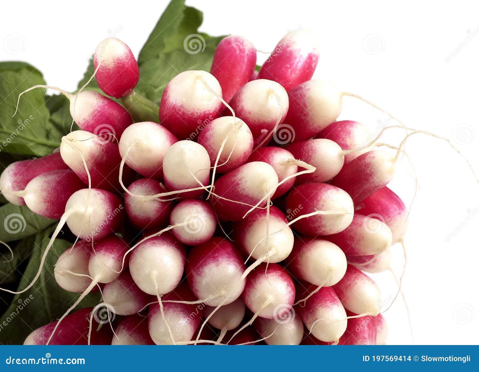 Rabanete Rosa Raphanus Sativus Contra Fundo Branco Foto de Stock ...