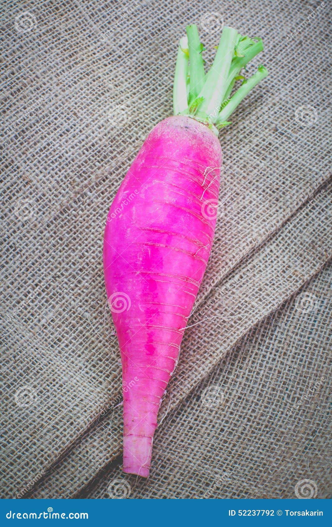 Rabanete roxo do daikon foto de stock. Imagem de alimento - 52237792