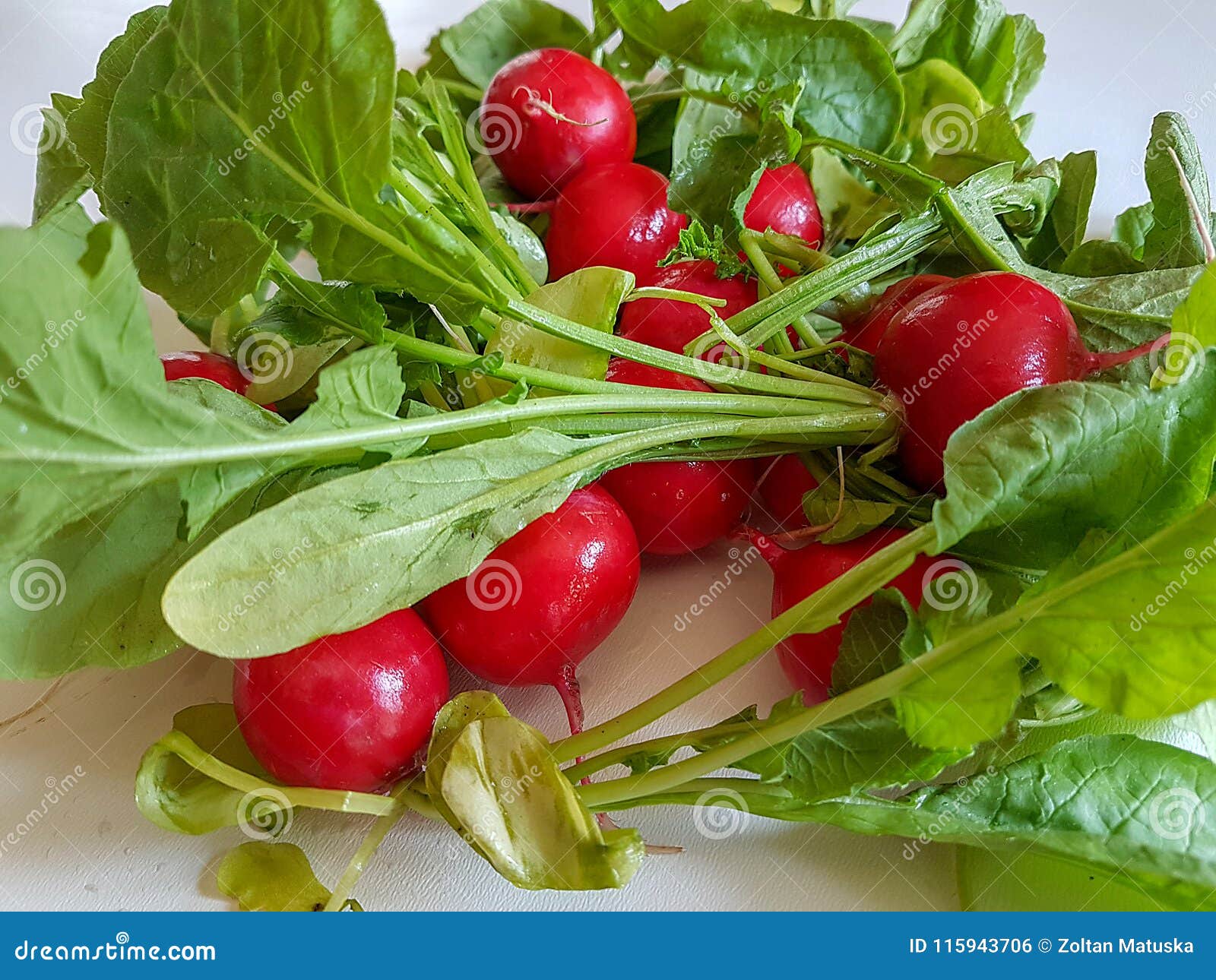 Rabanete Vermelho No Fundo Branco Com Folha Grean Foto de Stock ...