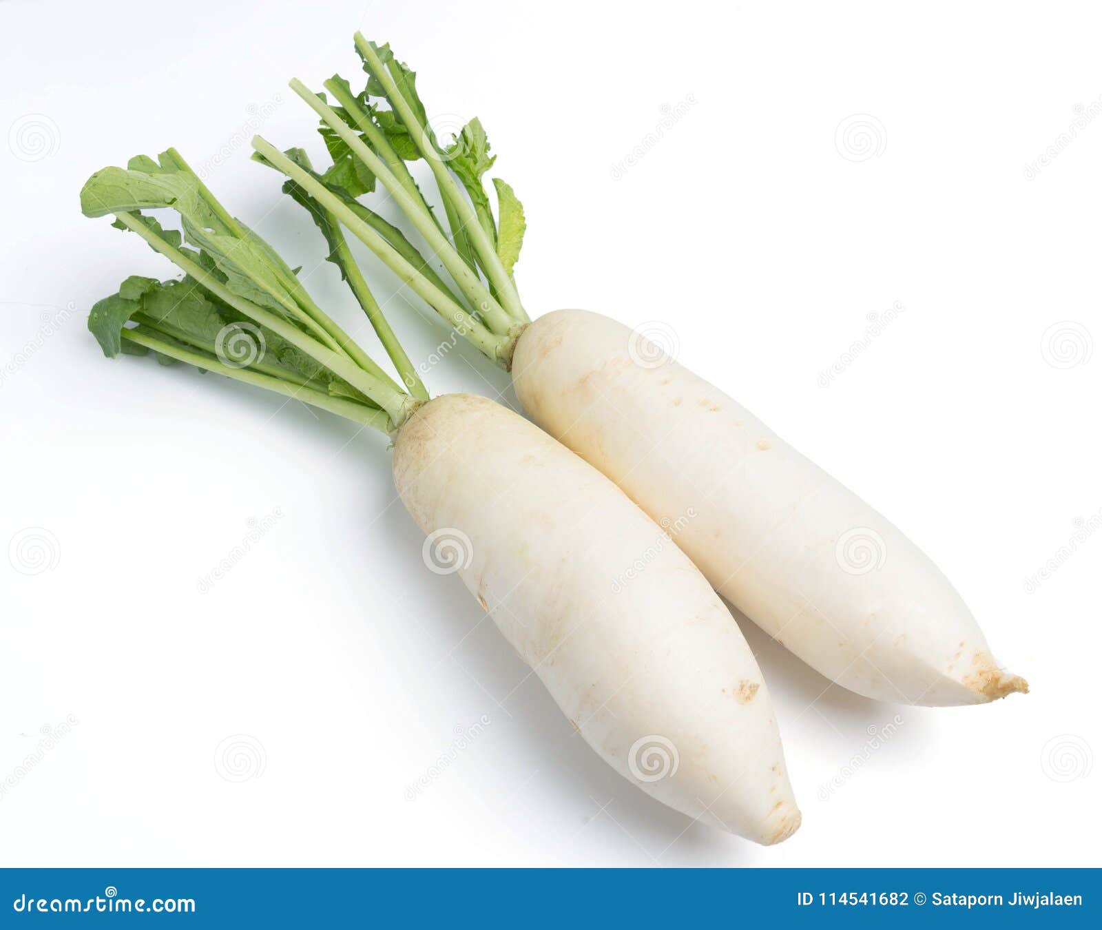 Rabanetes Do Daikon Isolados No Branco Foto de Stock - Imagem de fresco ...