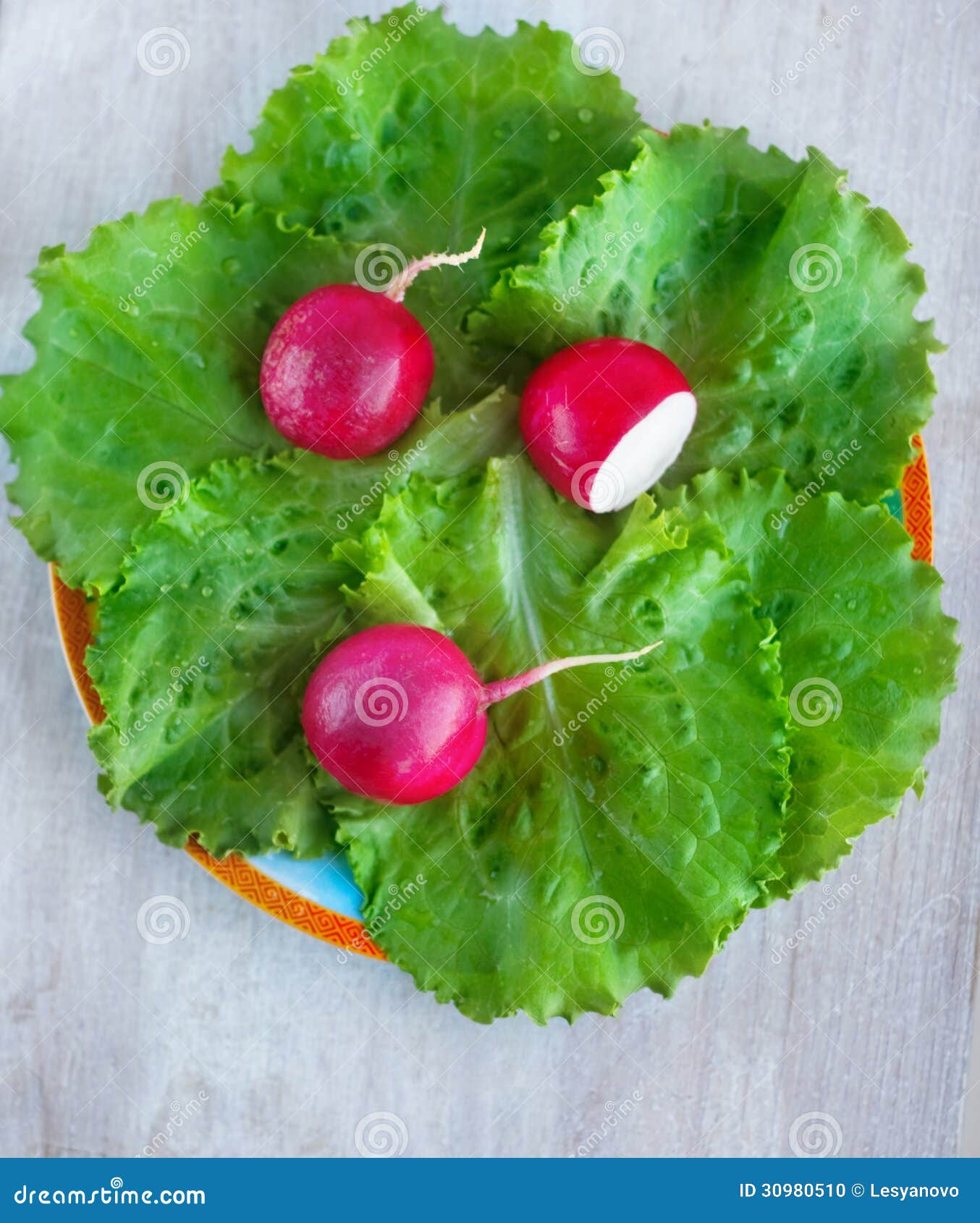 Rabanetes Do Jardim Na Alface De Folhas Foto de Stock - Imagem de ...