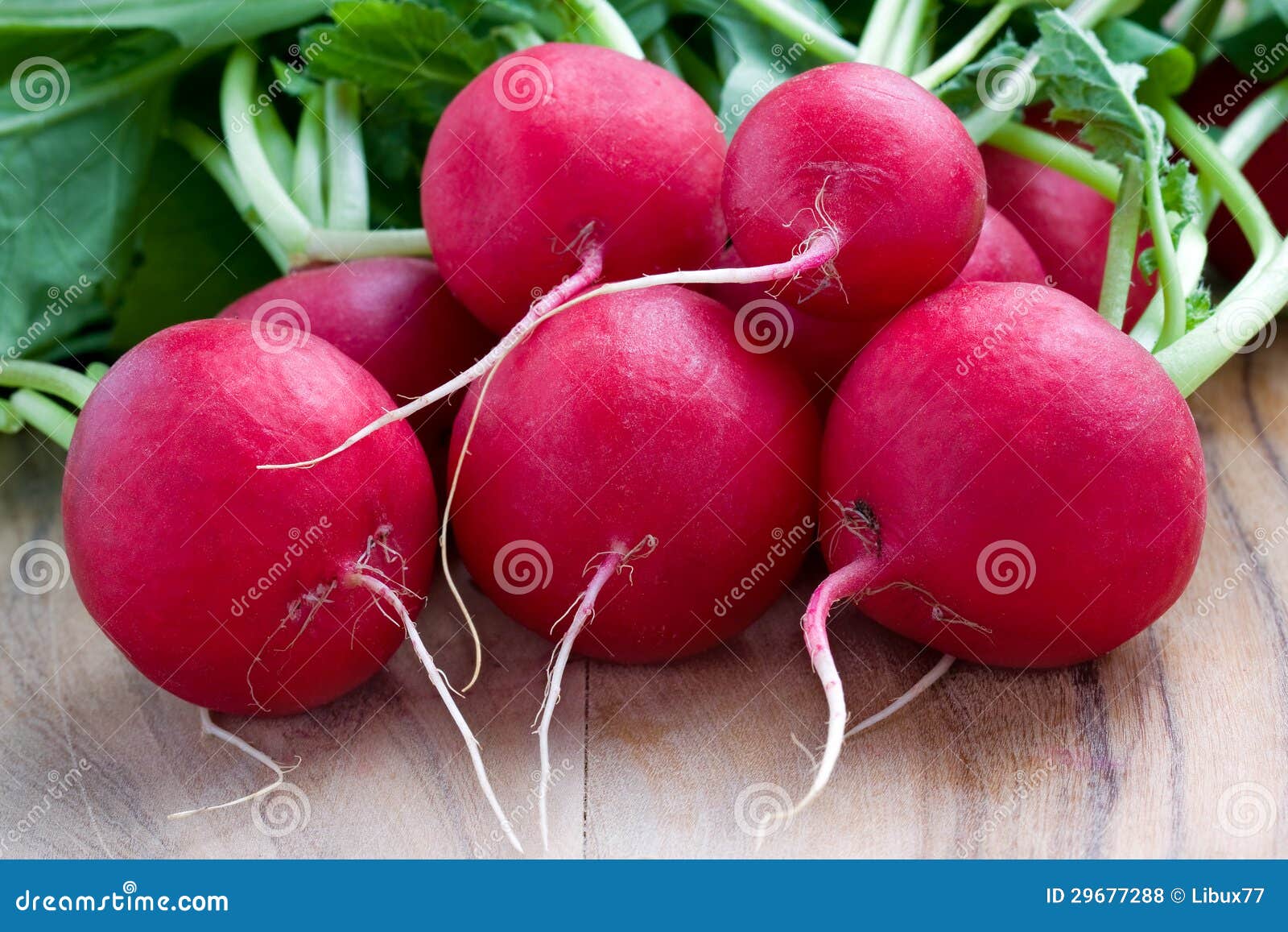 Rabanetes vermelhos foto de stock. Imagem de folhas, rabanete - 29677288