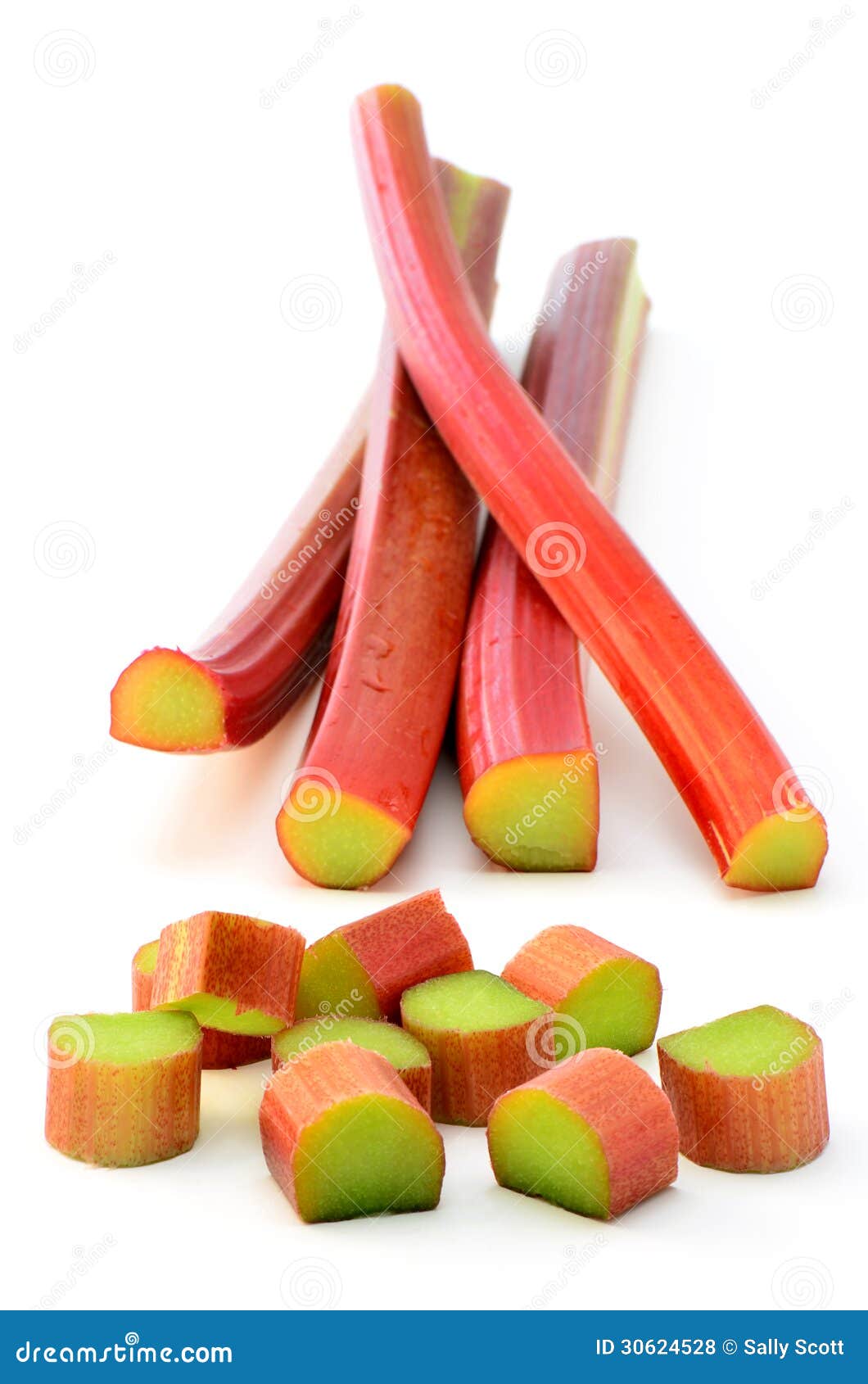 Rabarbaro fresco fotografia stock. Immagine di fresco - 30624528