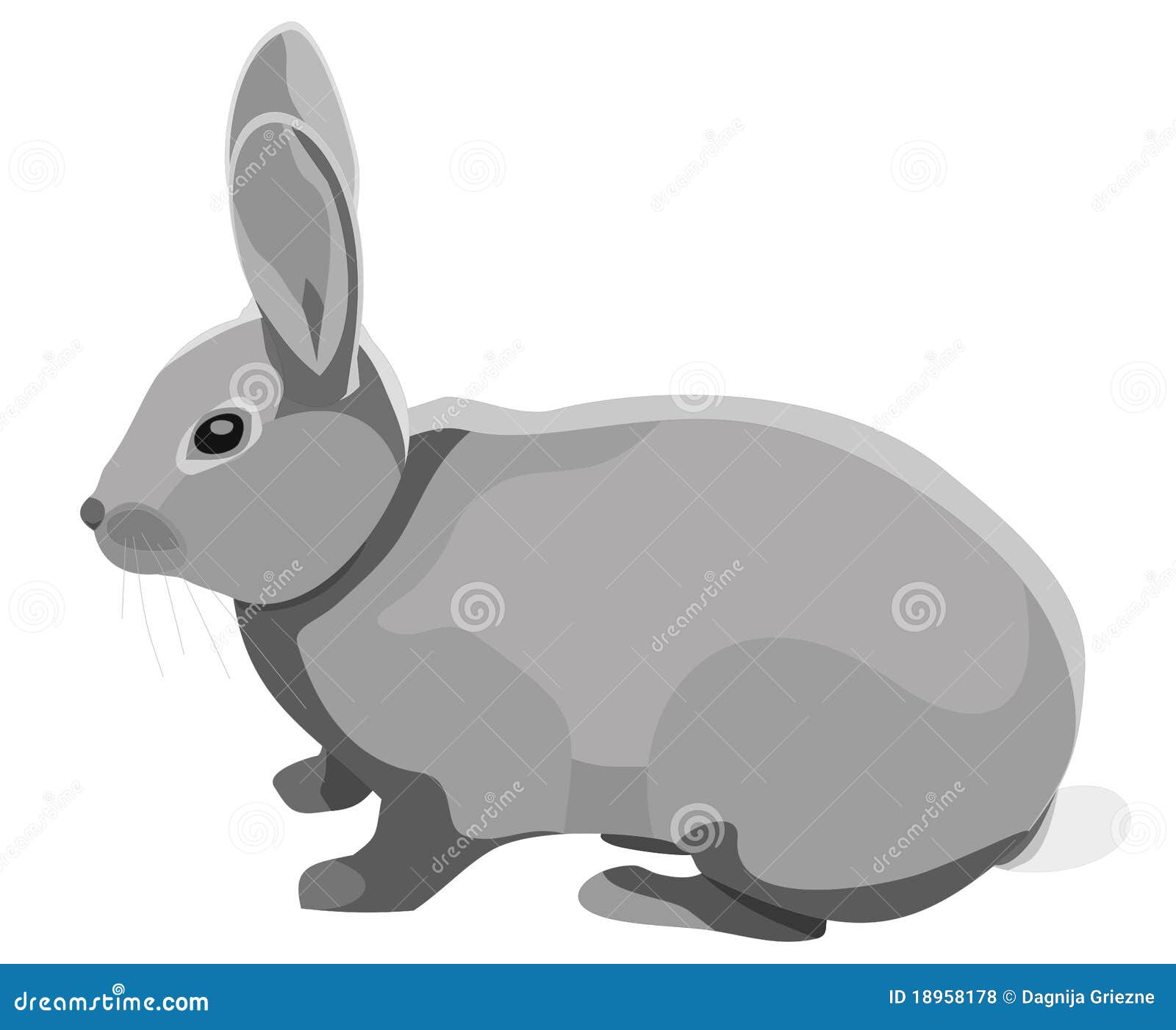 Rabbit stock vector. Illustration of wildlife, element - 18958178