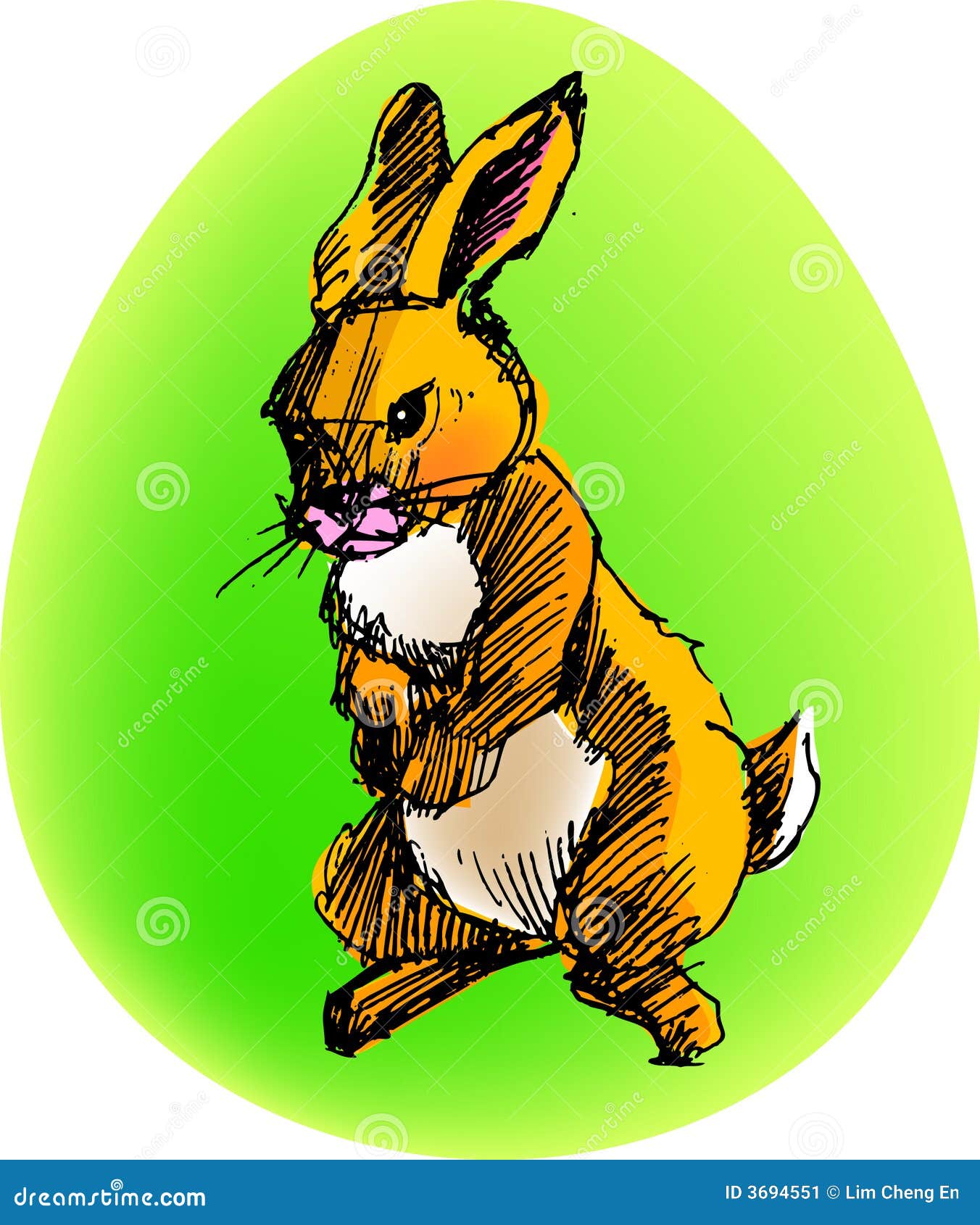 Cottontails Stock Illustrations – 4 Cottontails Stock Illustrations ...