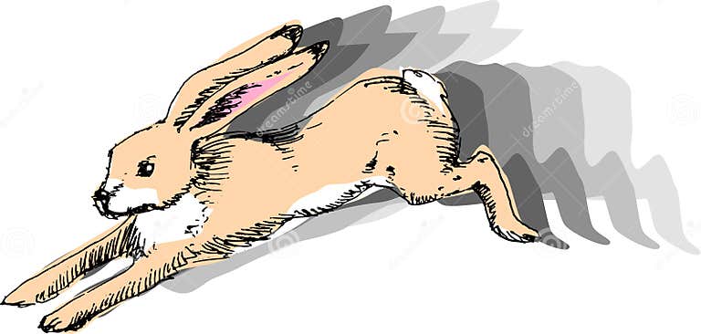 Rabbit stock vector. Illustration of graphic, sketch, running - 3694557