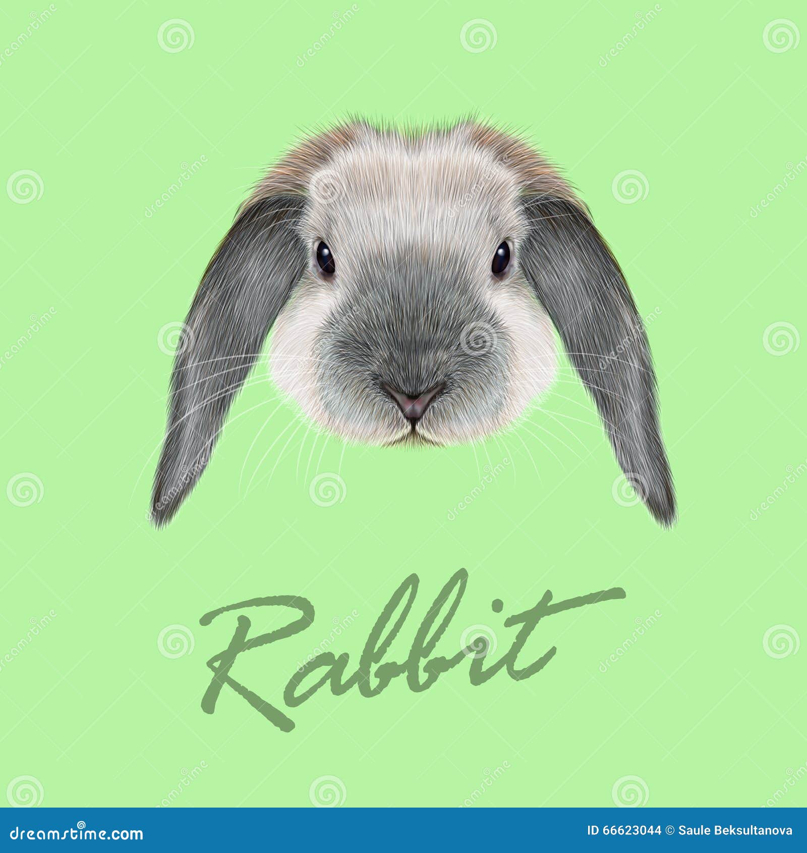 Point Rabbit Stock Illustrations – 758 Point Rabbit Stock Illustrations ...