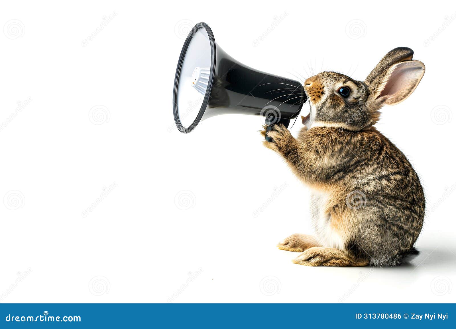 Rabbit Announcing Using Megaphone. Notifying, Warning, Announcement ...