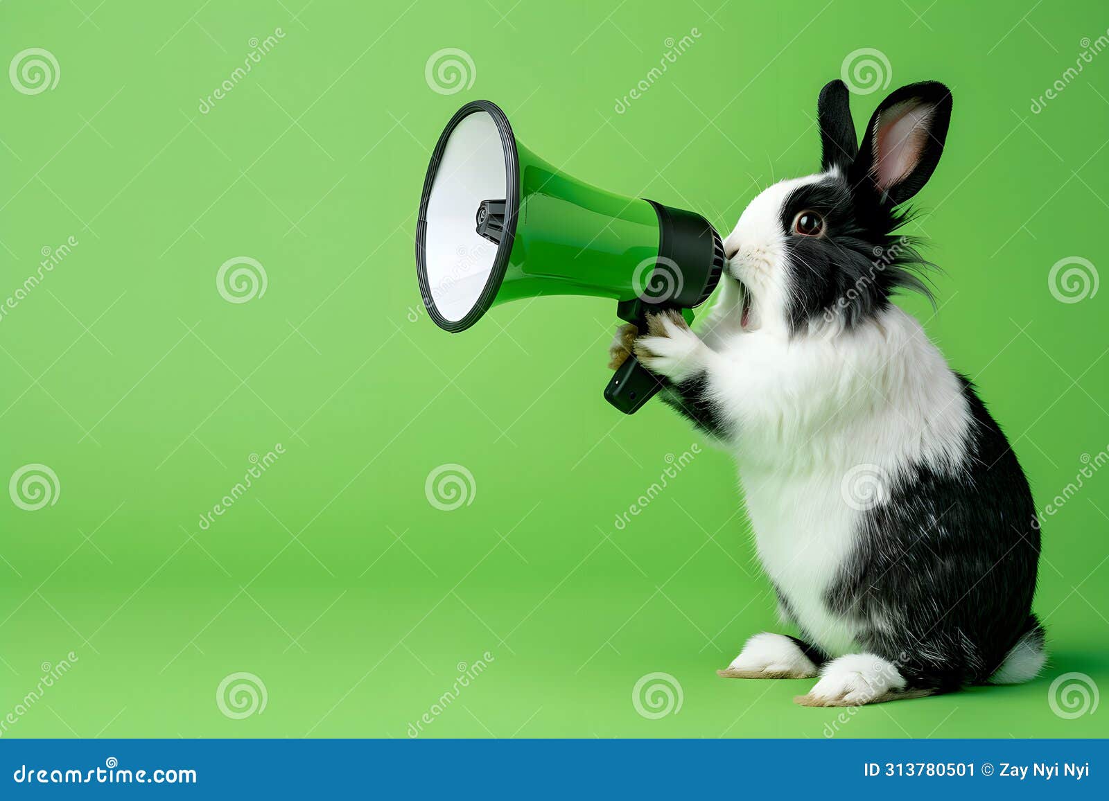 Rabbit Announcing Using Megaphone. Notifying, Warning, Announcement ...