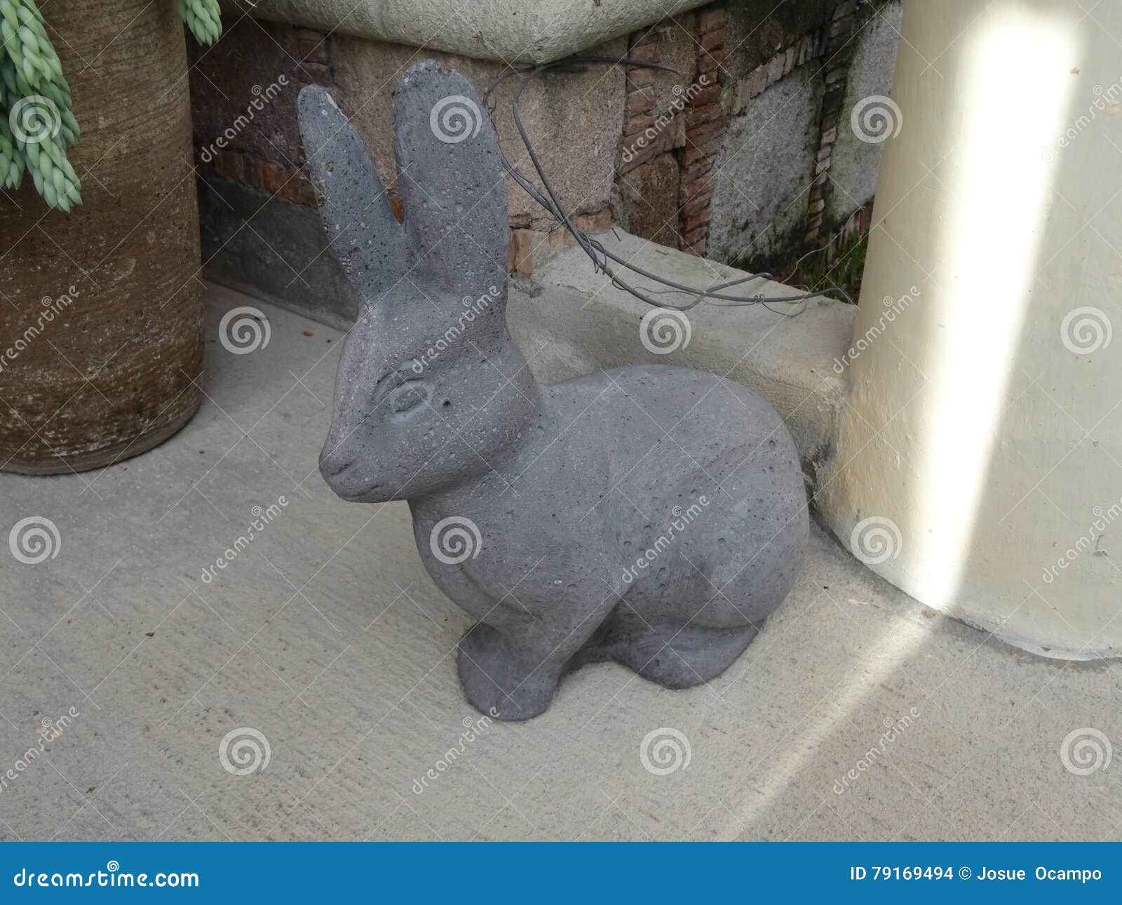 Rabbit stock photo. Image of rabbit, hermoso, piedra - 79169494