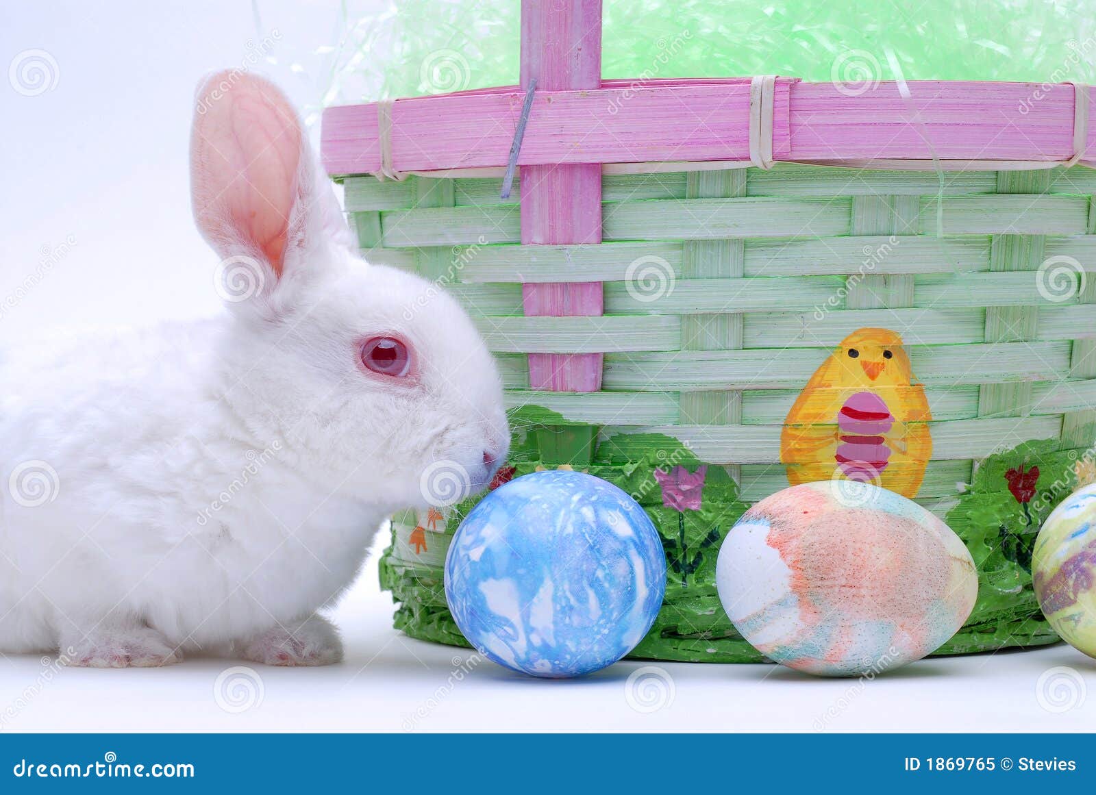 Rabbit in basket stock image. Image of easter, white, thumper - 1869765