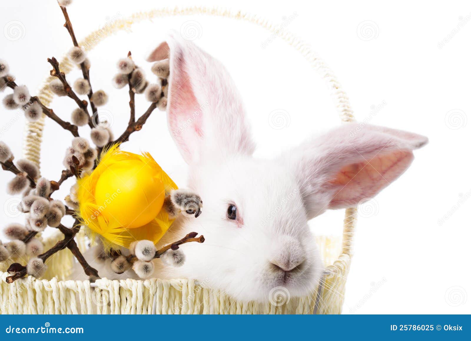 Rabbit in a basket stock image. Image of sweet, symbol - 25786025