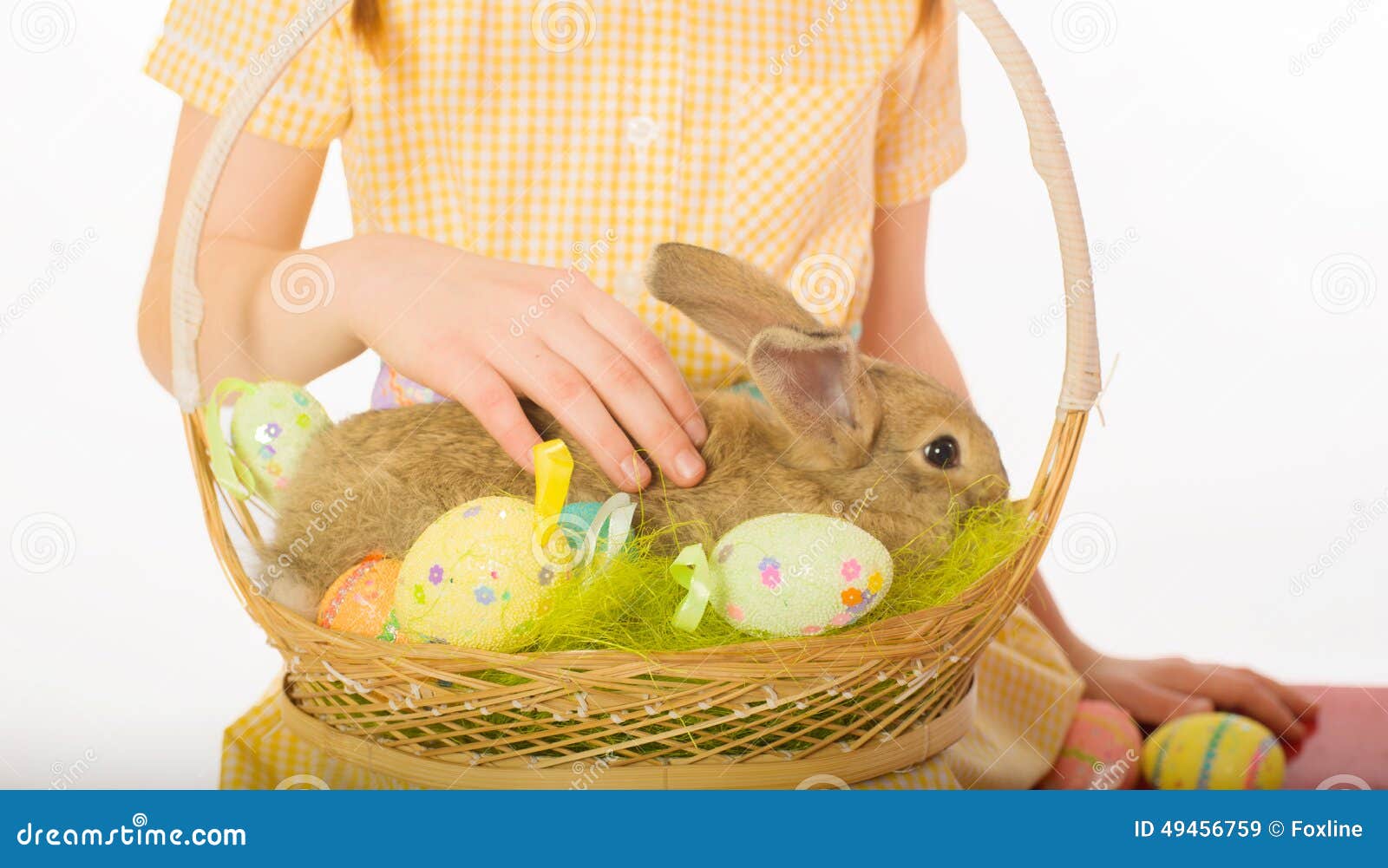 Rabbit in Basket Easter Eggs Stock Image - Image of child, eggs: 49456759