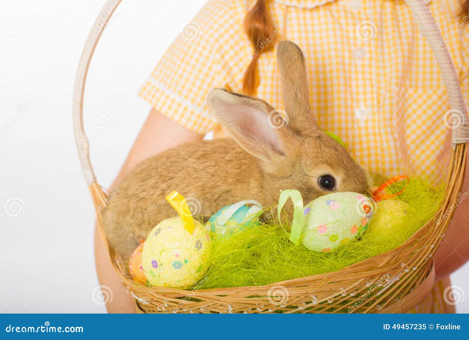 Rabbit in Basket Easter Eggs Stock Image - Image of female, hair: 49457235