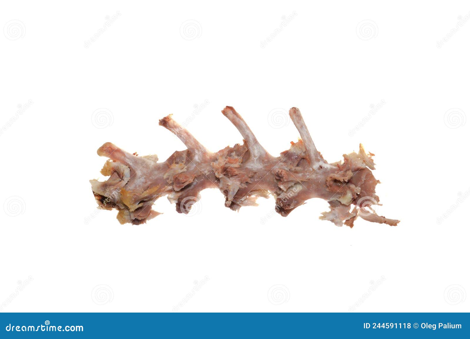 Rabbit Bones Isolated on White Background Stock Photo - Image of food ...